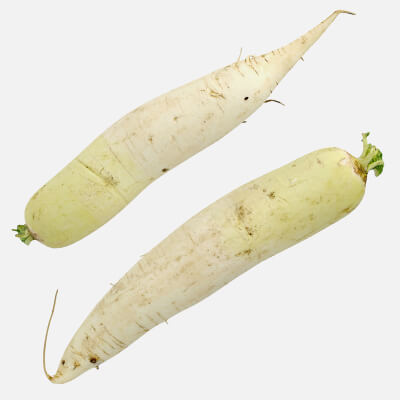 Daikon Radish White Radish 8 Models - 3D Model by TmHill