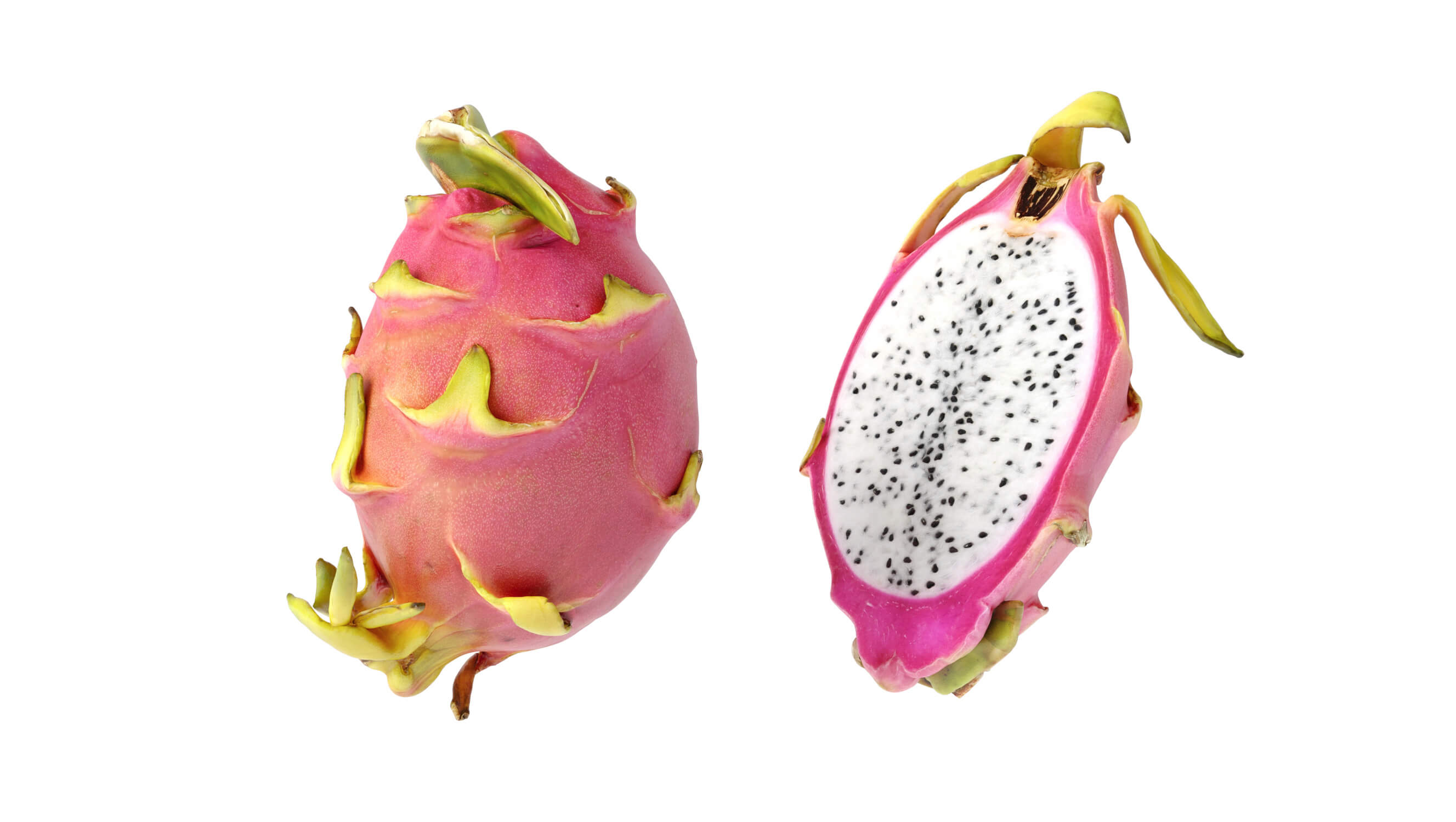 Dragon Fruit - Pitaya 6 Models 3D Model by TmHill
