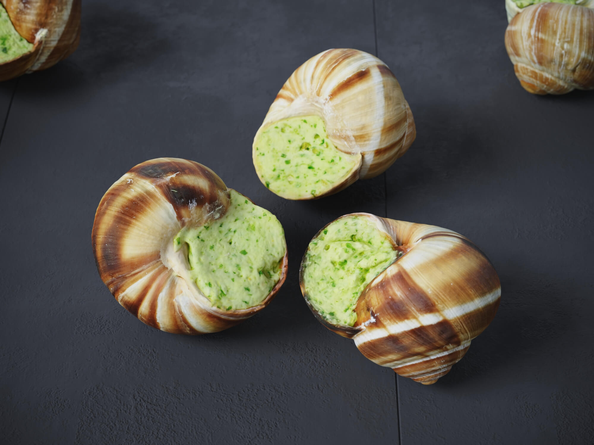 Escargots (Snails) 7 Models - 3D Model by TmHill