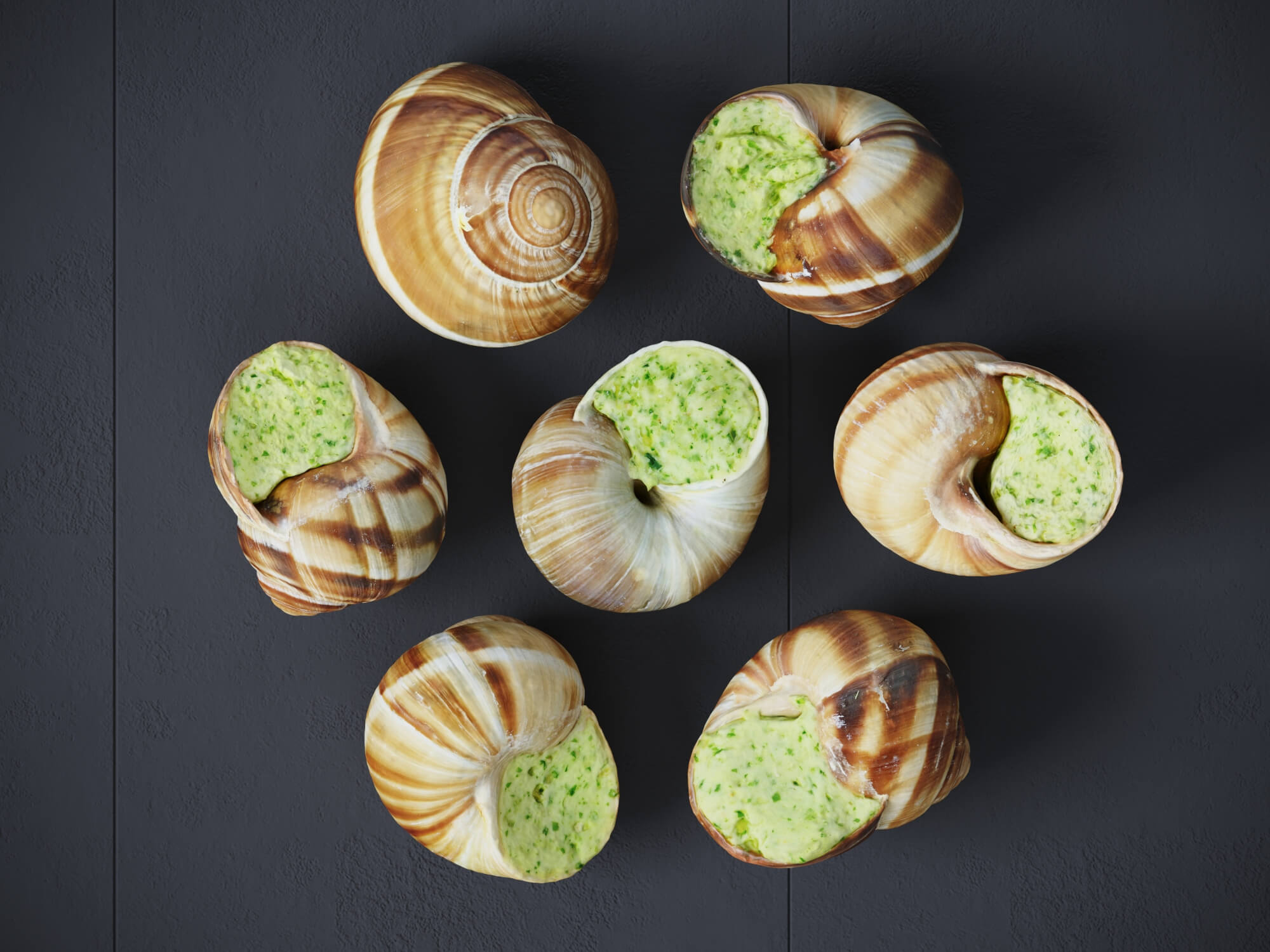 Escargots (Snails) 7 Models - 3D Model by TmHill