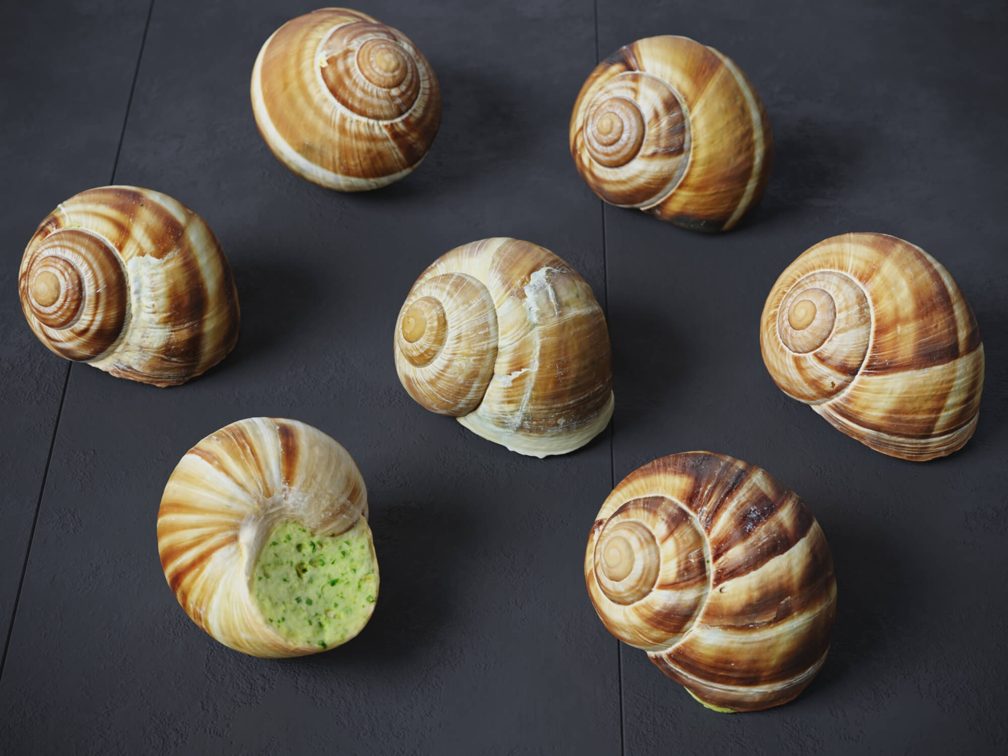 Escargots (Snails) 7 Models - 3D Model by TmHill