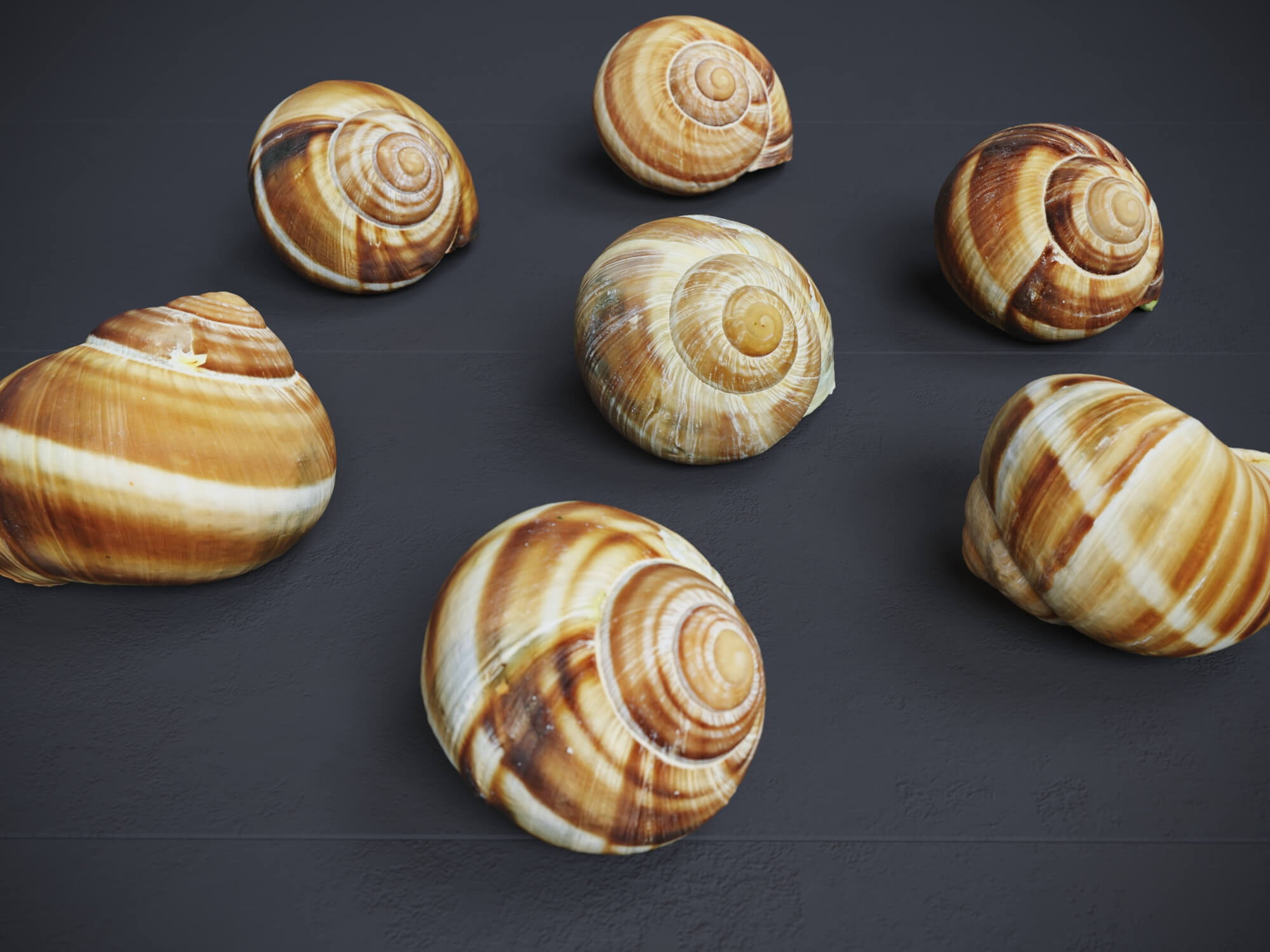Escargots (Snails) 7 Models - 3D Model by TmHill