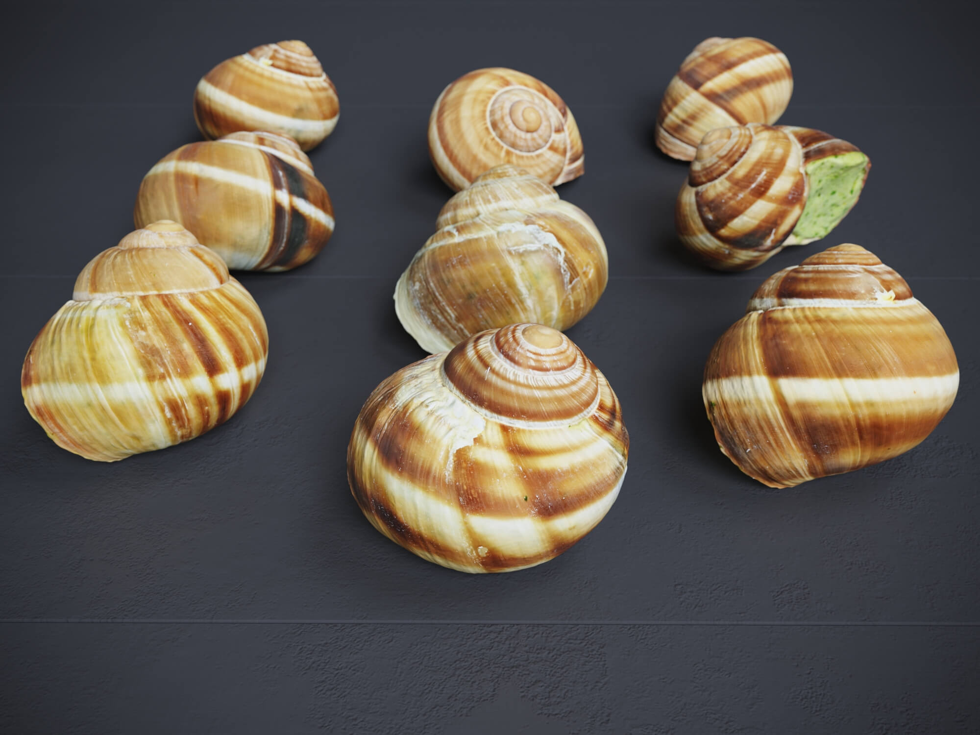 Escargots (Snails) 7 Models - 3D Model by TmHill