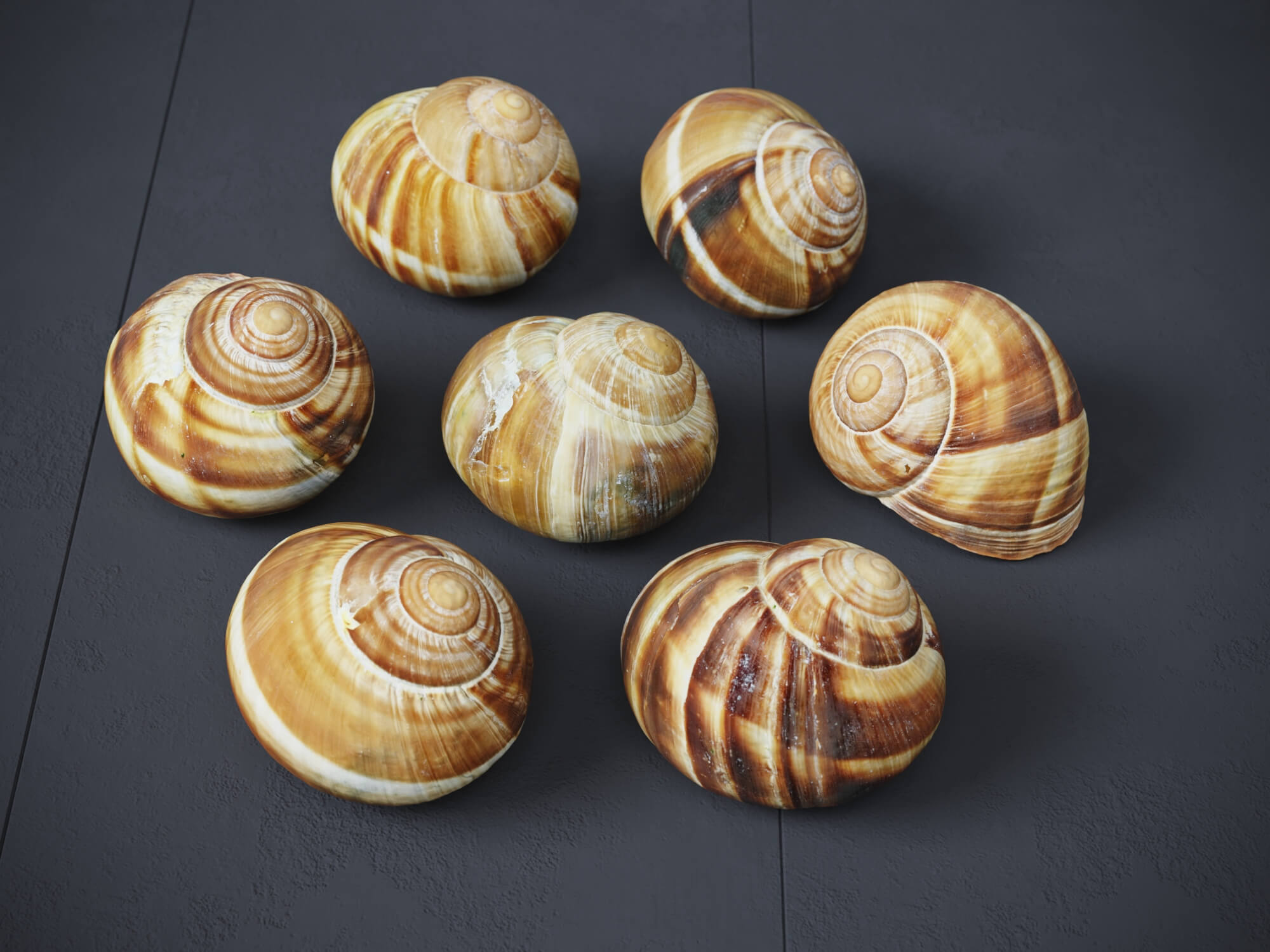 Escargots (Snails) 7 Models - 3D Model by TmHill