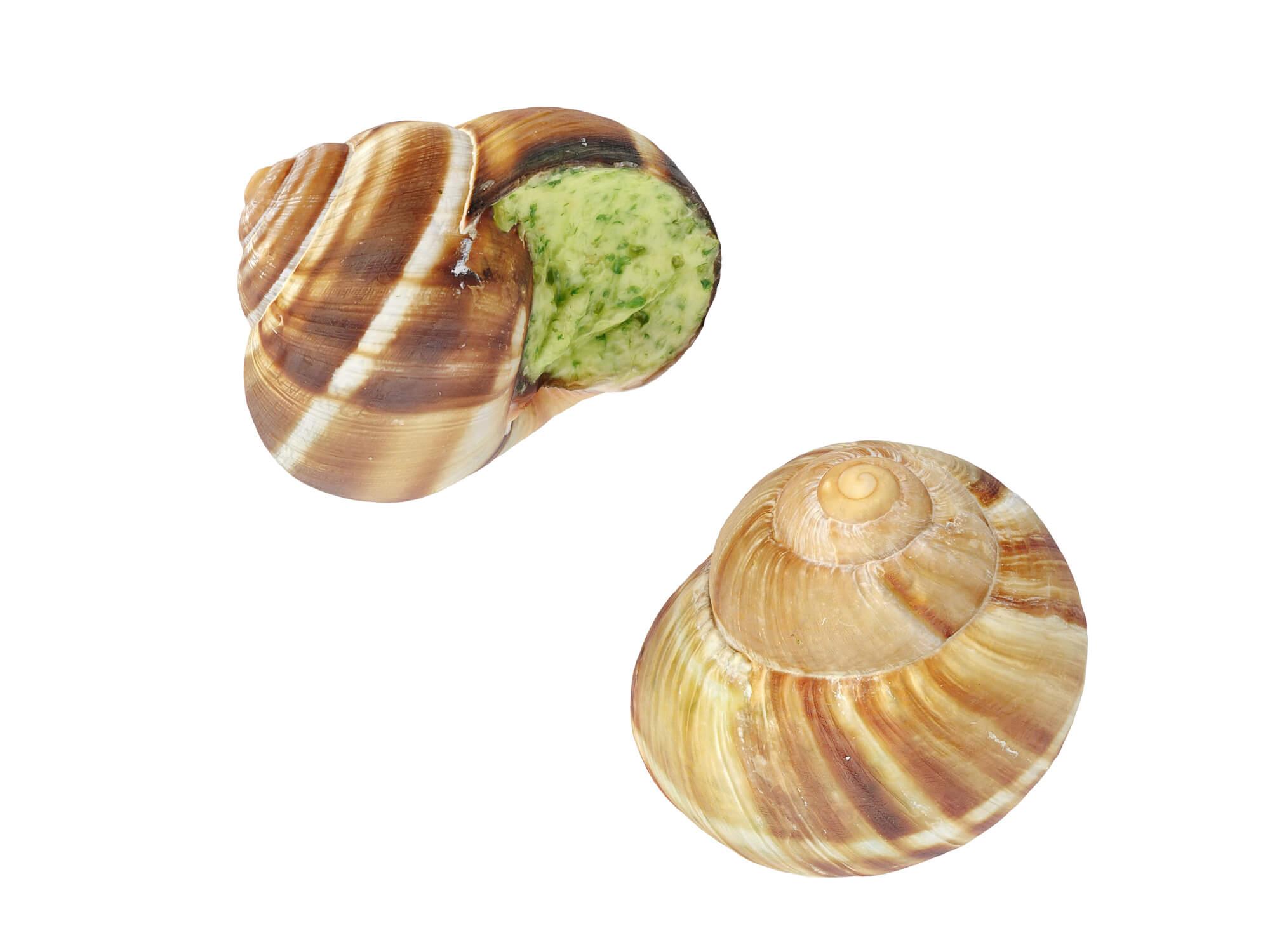 Escargots (Snails) 7 Models - 3D Model by TmHill