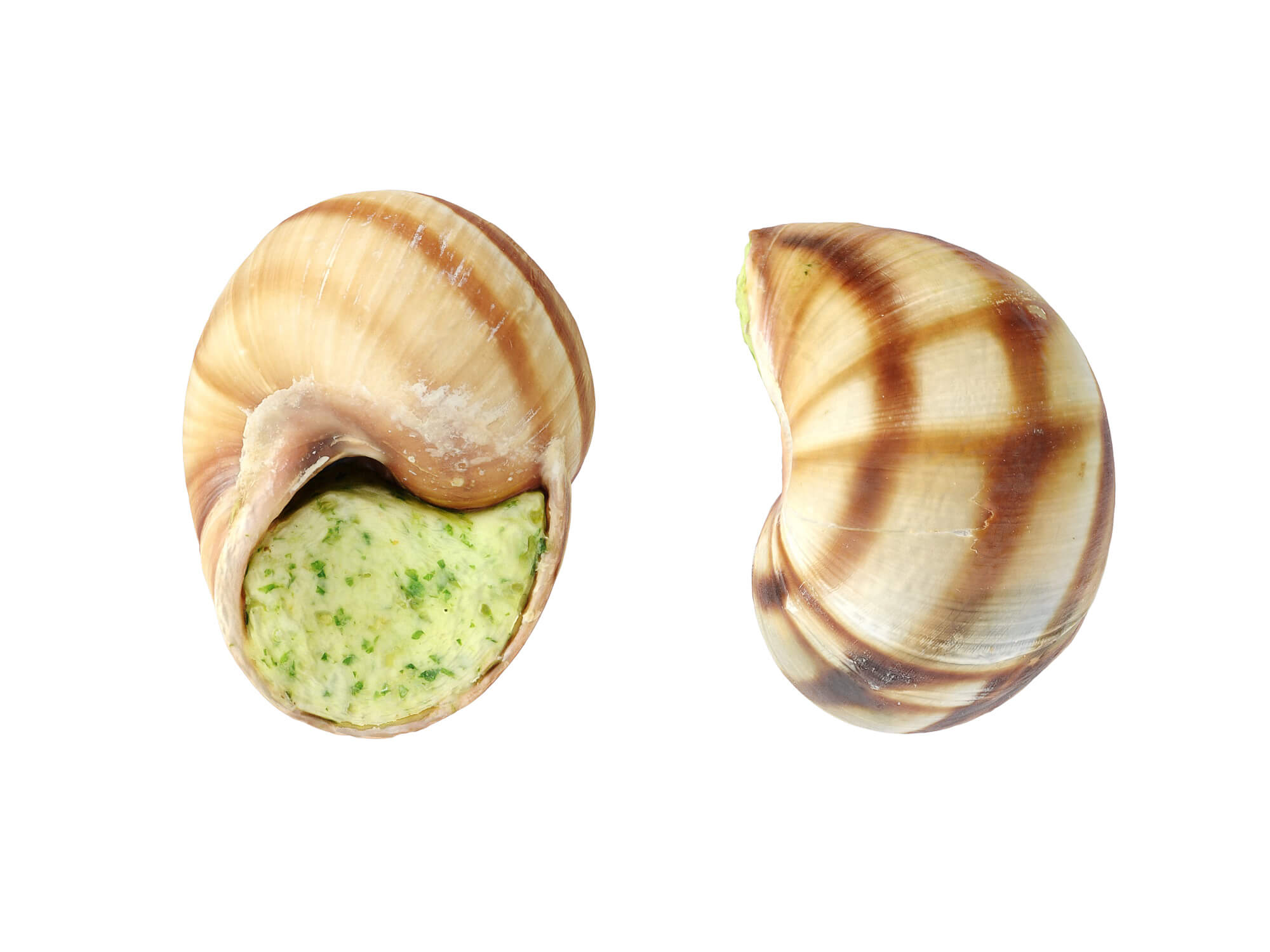 Escargots (Snails) 7 Models - 3D Model by TmHill