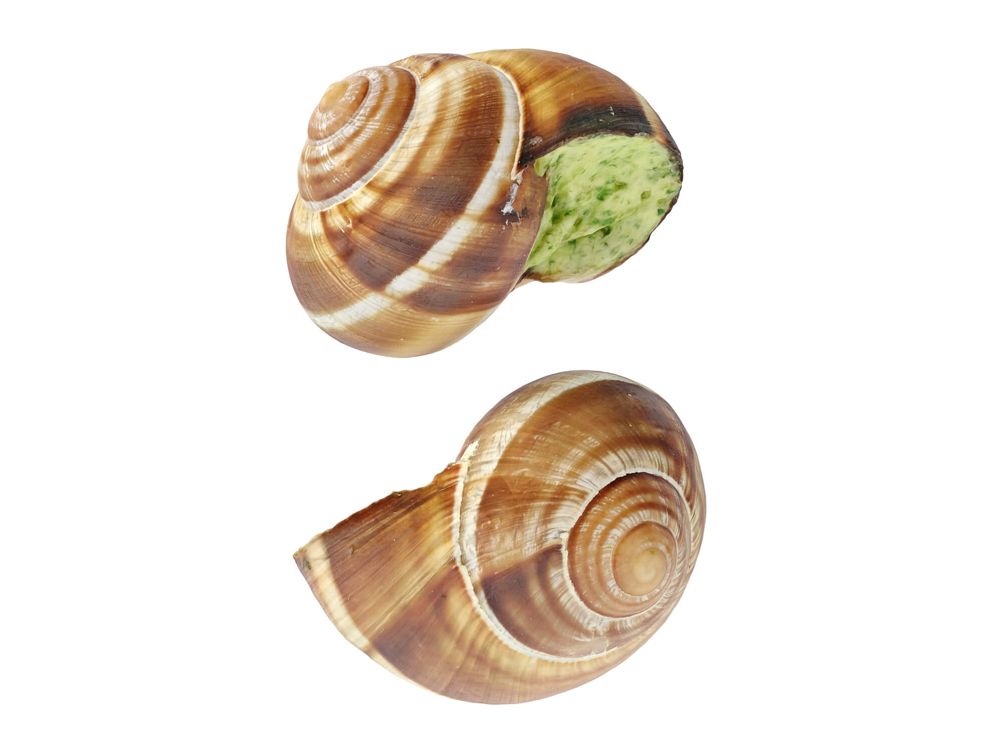 Escargots (Snails) 7 Models - 3D Model by TmHill