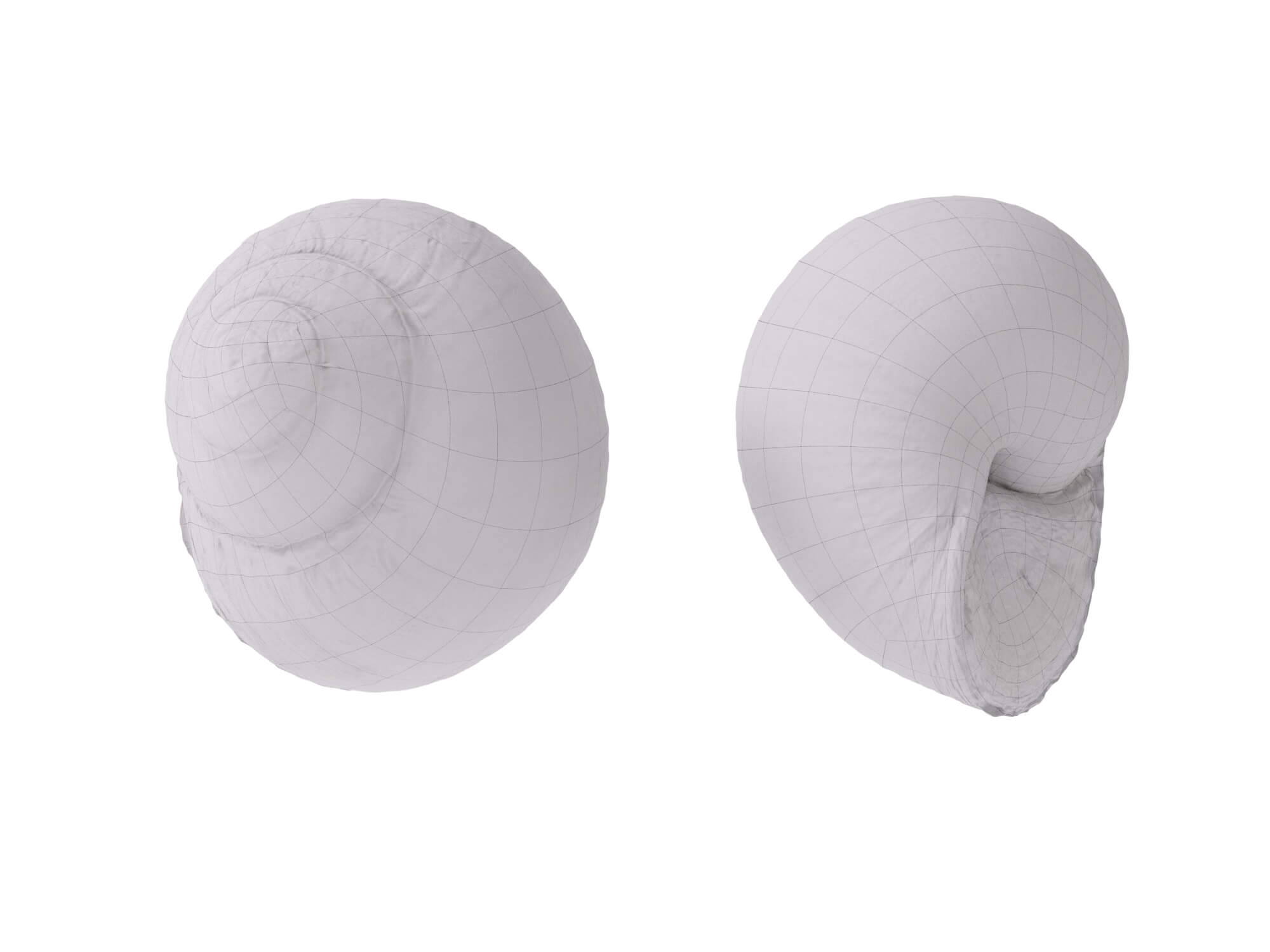 Escargots (Snails) 7 Models - 3D Model by TmHill