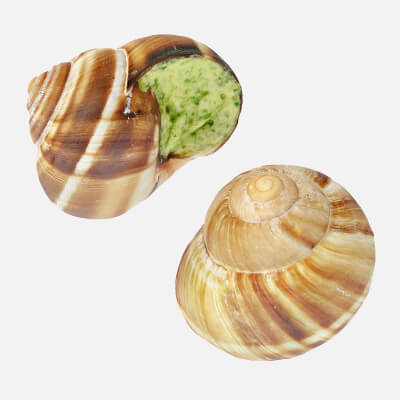 Escargots (Snails) 7 Models - 3D Model by TmHill