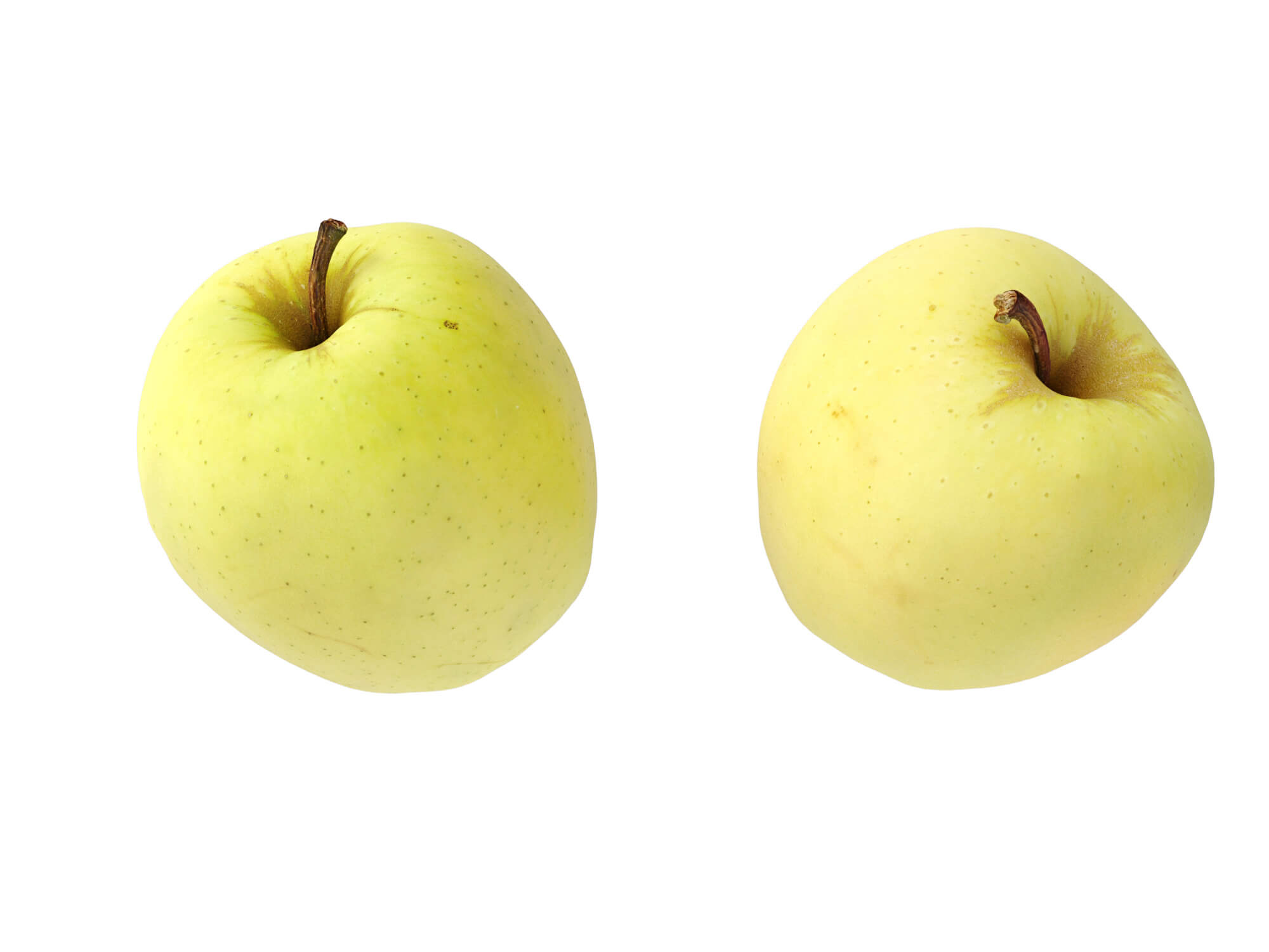 Golden Apples 7 Models - 3D Model by TmHill