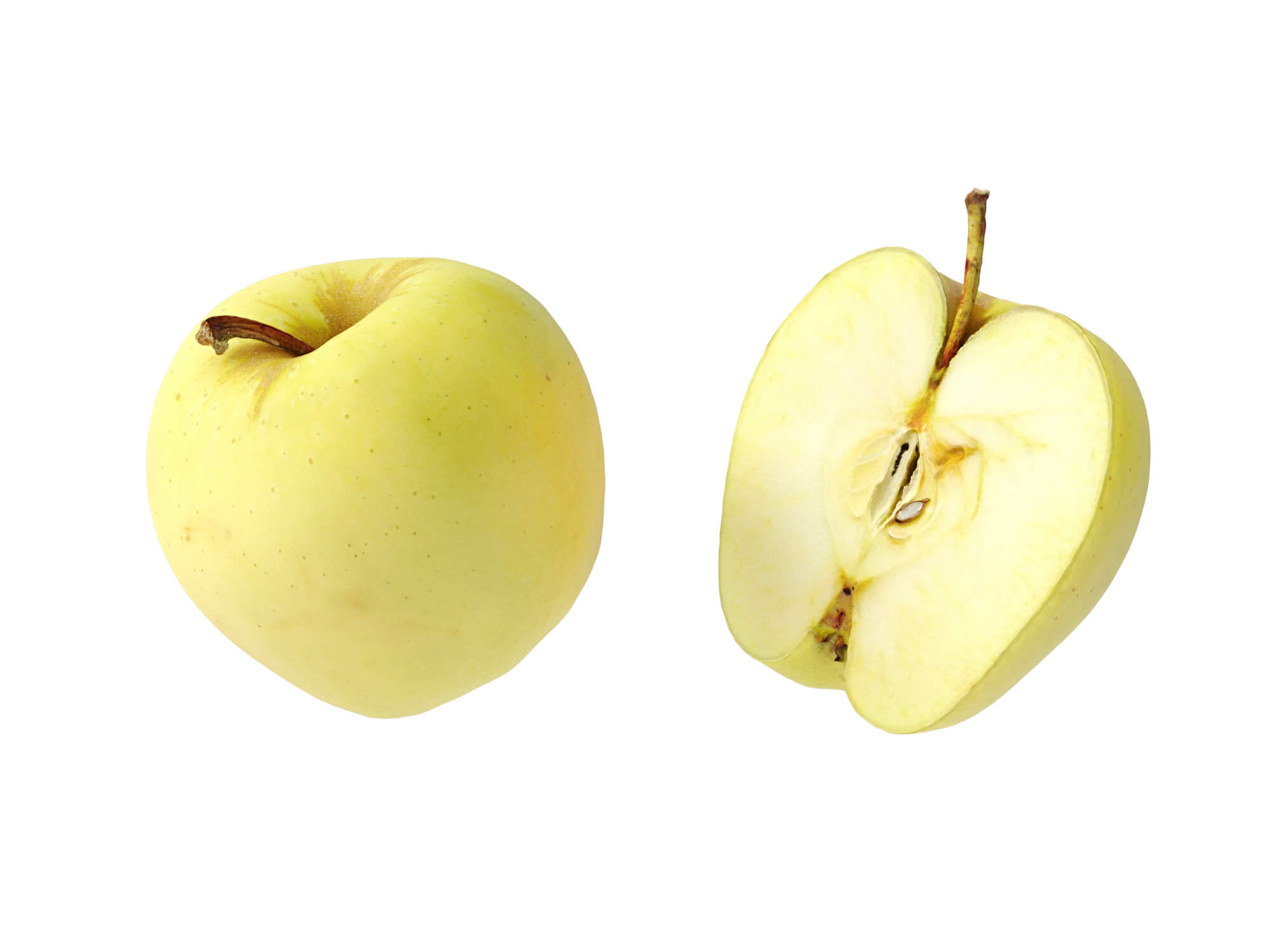 Golden Apples 7 Models - 3D Model by TmHill
