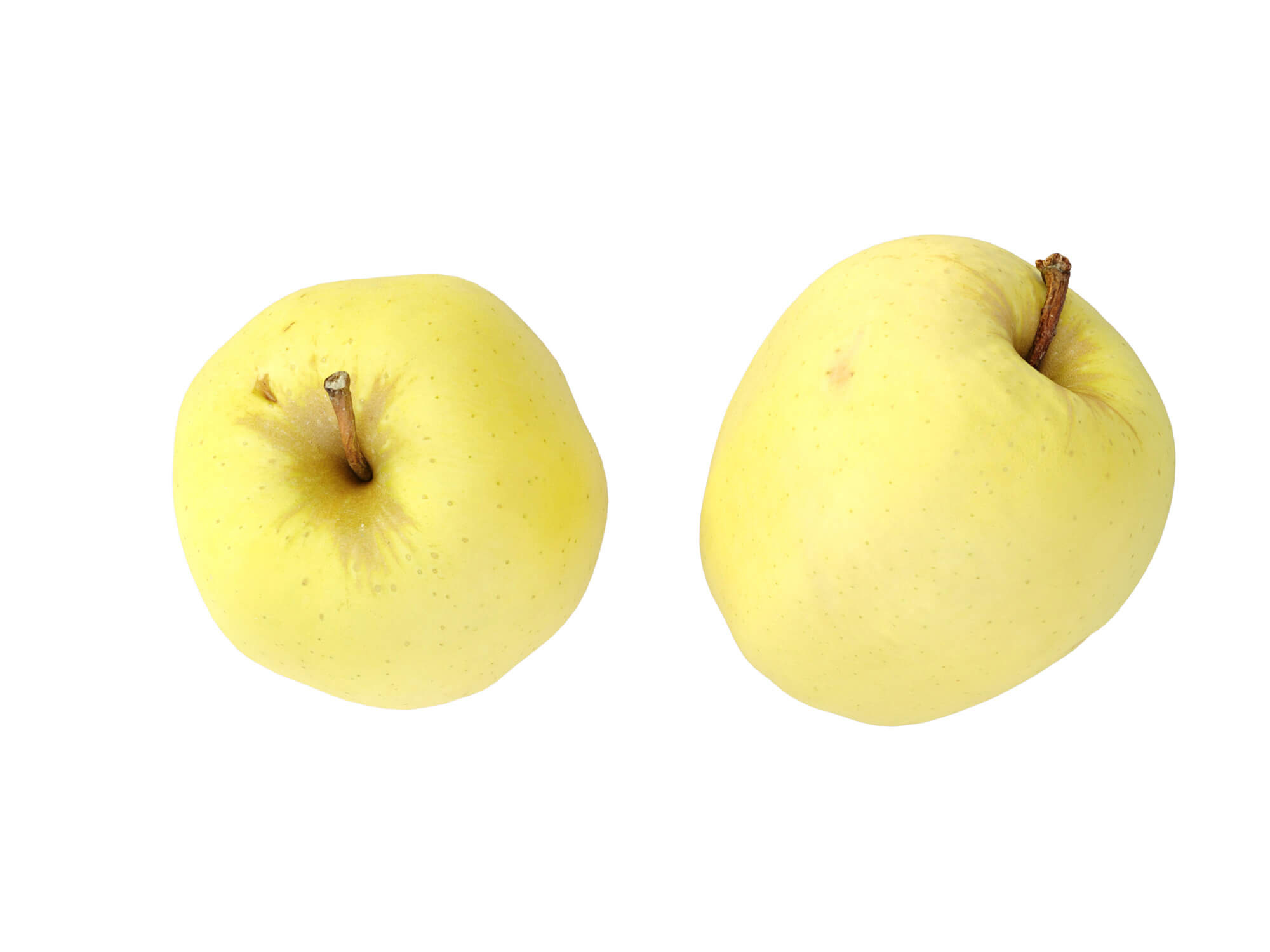 Golden Apples 7 Models - 3D Model by TmHill