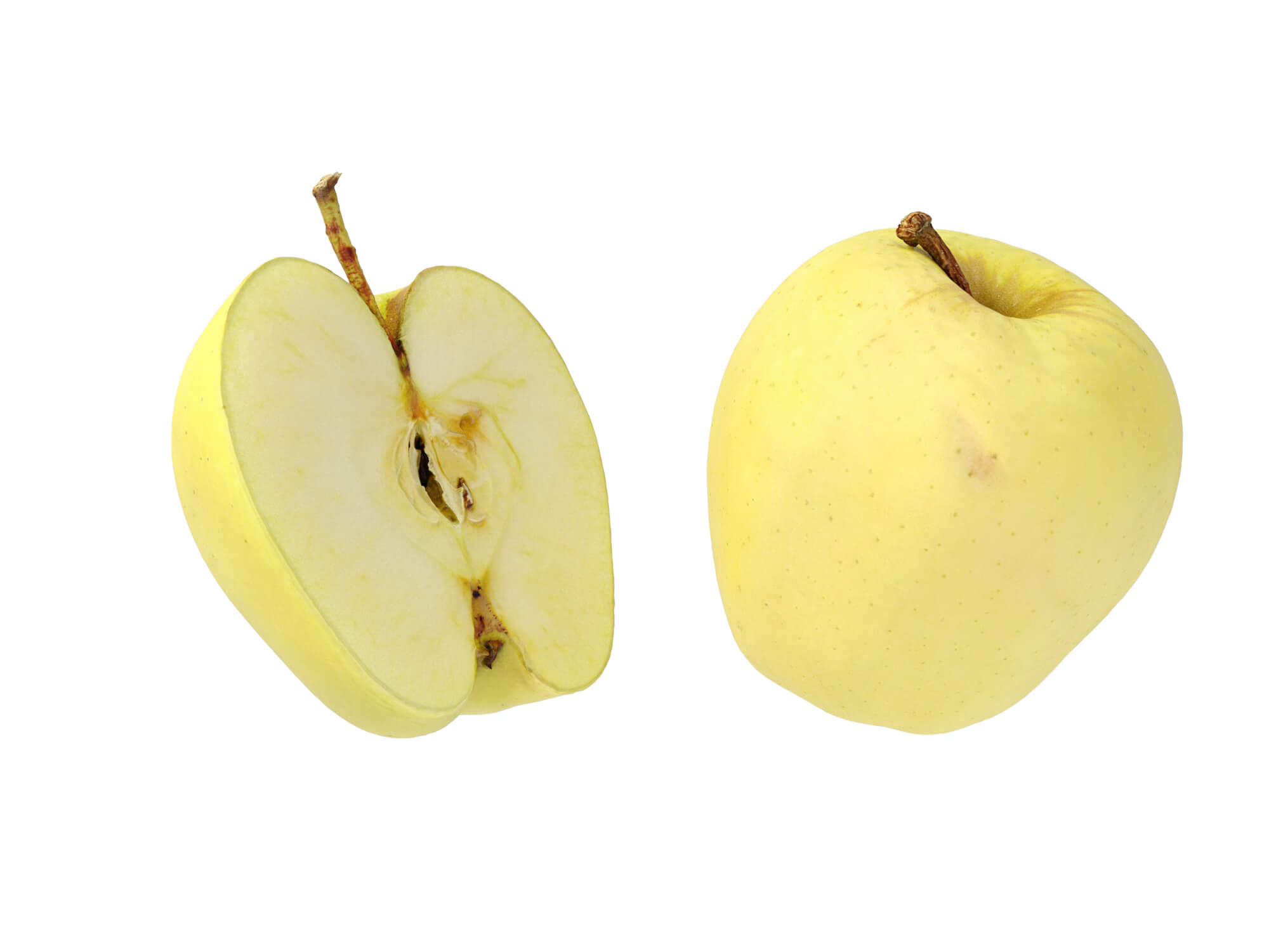 Golden Apples 7 Models - 3D Model by TmHill
