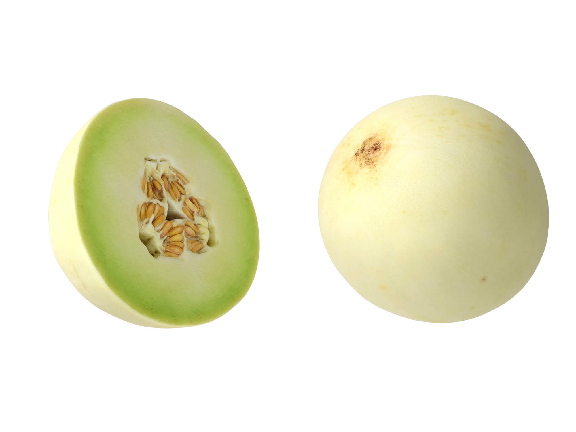 Honeydew Melons 12 Models - 3D Model by TmHill