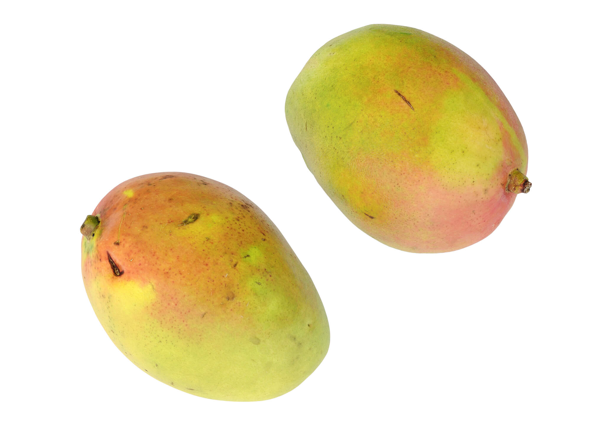 Mango 6 Models - 3D Model by TmHill