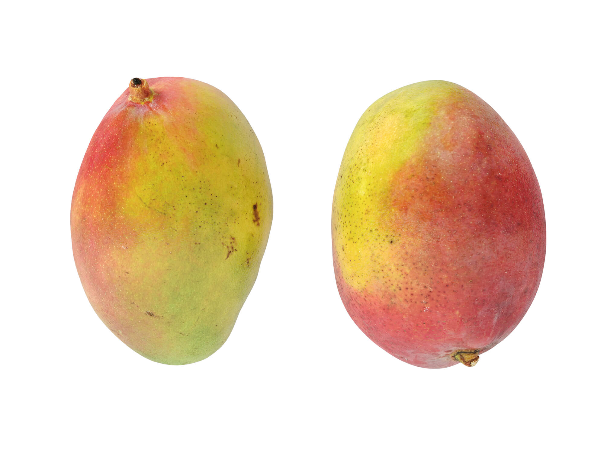 Mango 6 Models - 3D Model by TmHill