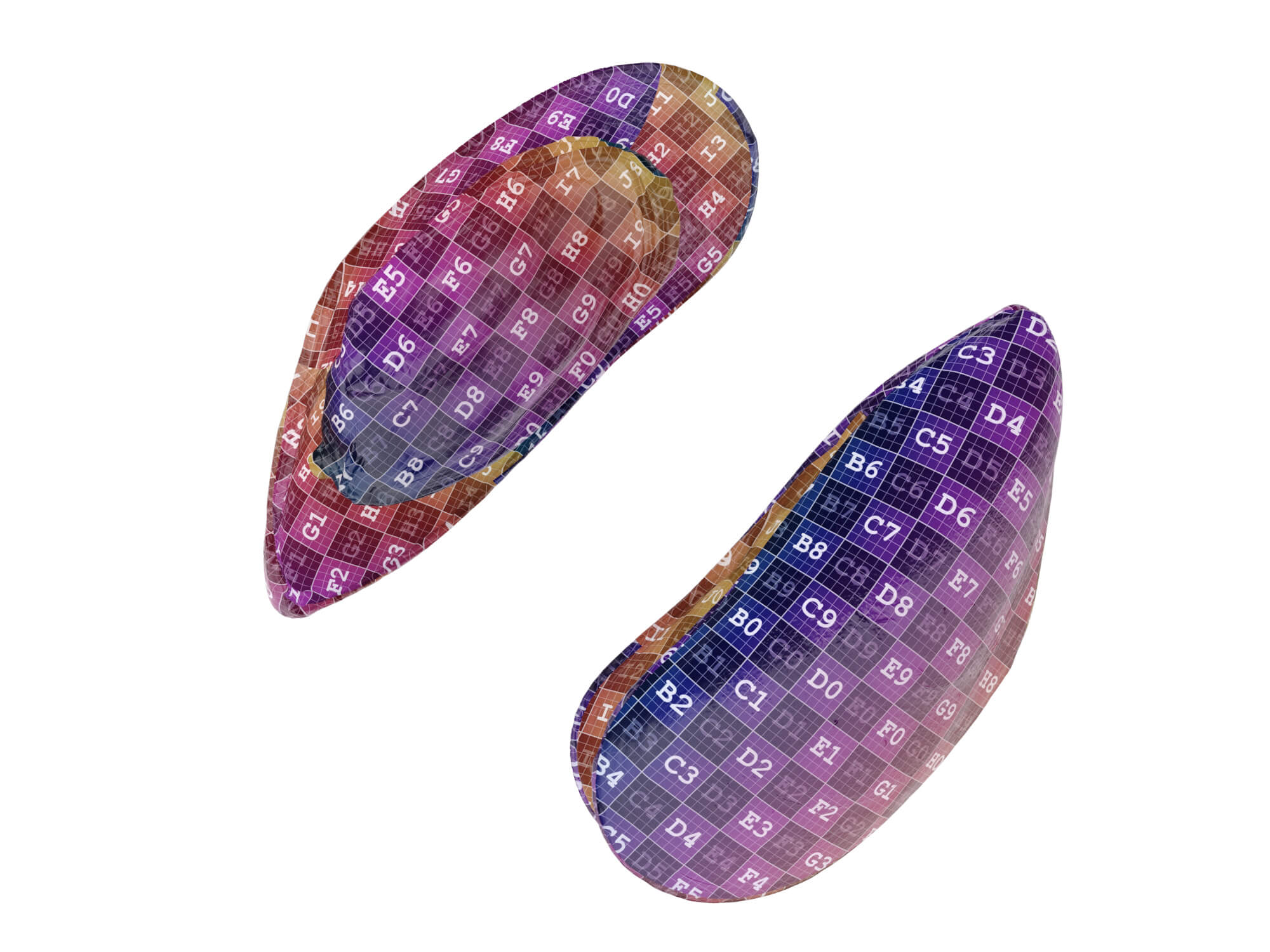 Mussel Green Shell 7 Models - 3D Model by TmHill