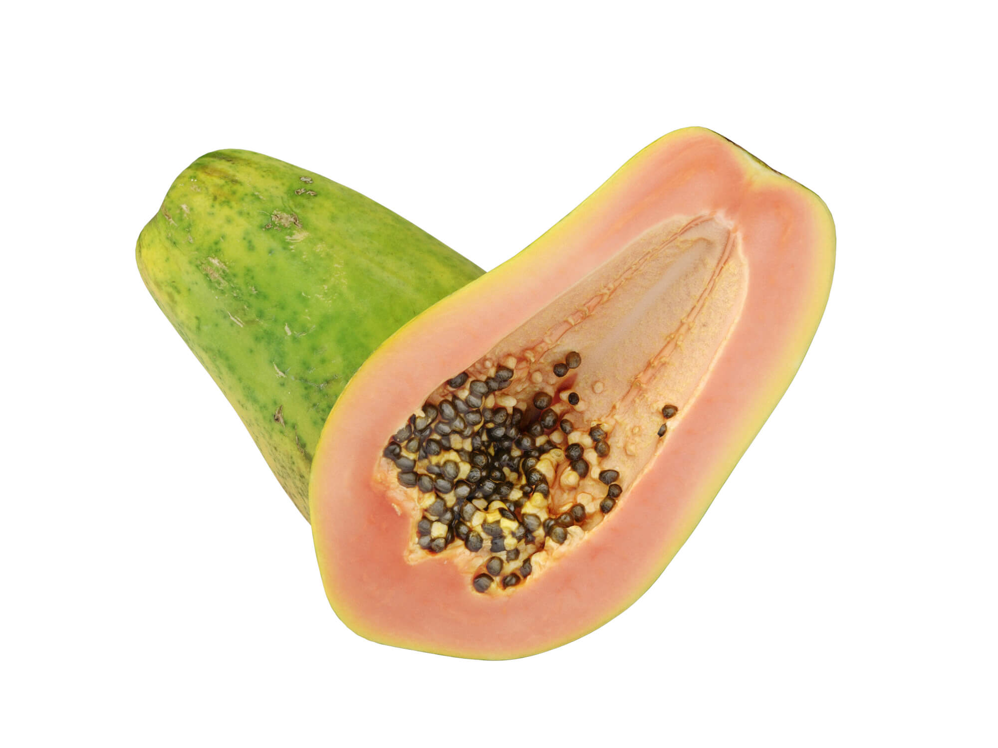 Papaya 10 Models - 3D Model by TmHill