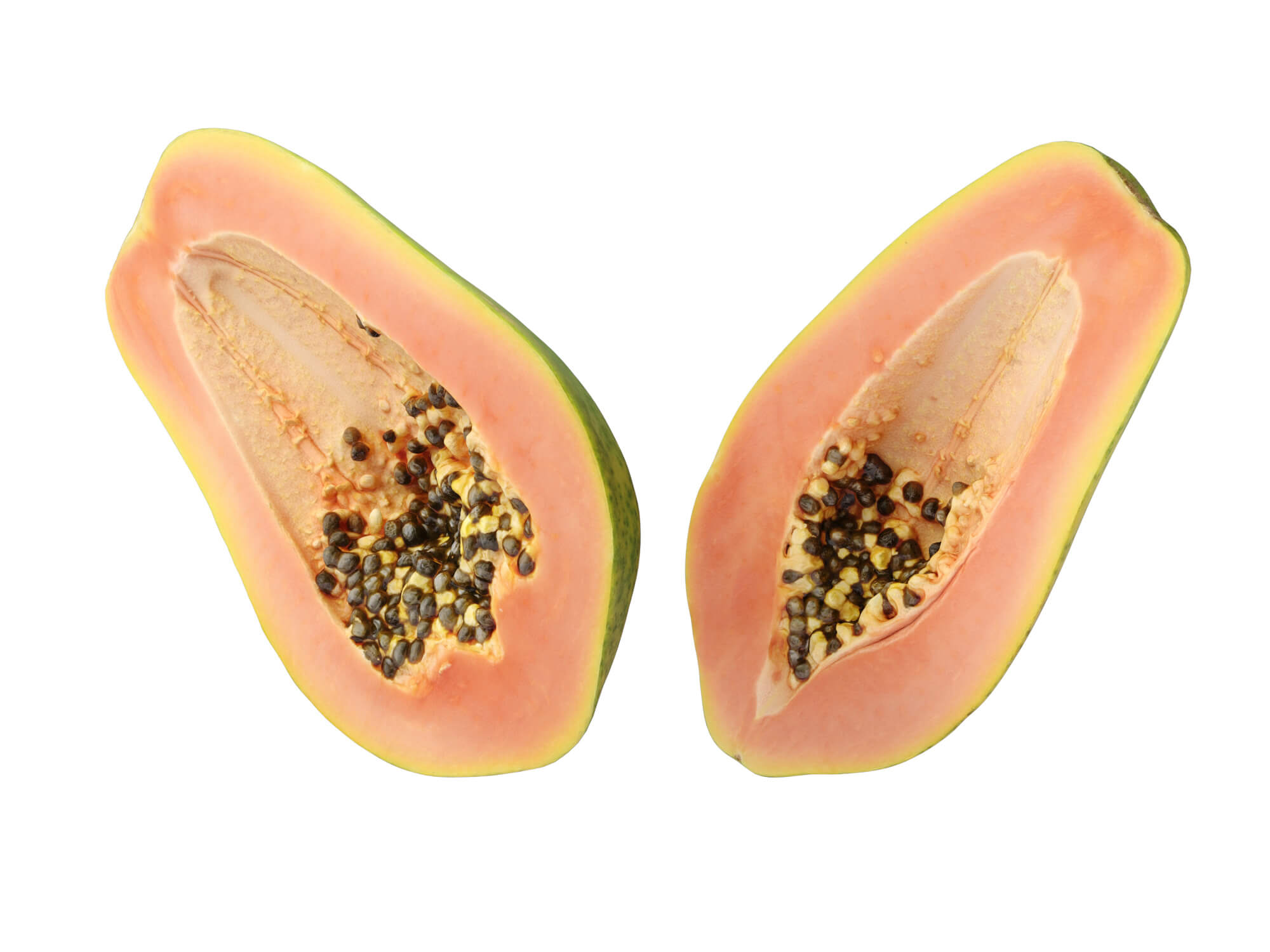 Papaya 10 Models - 3D Model by TmHill