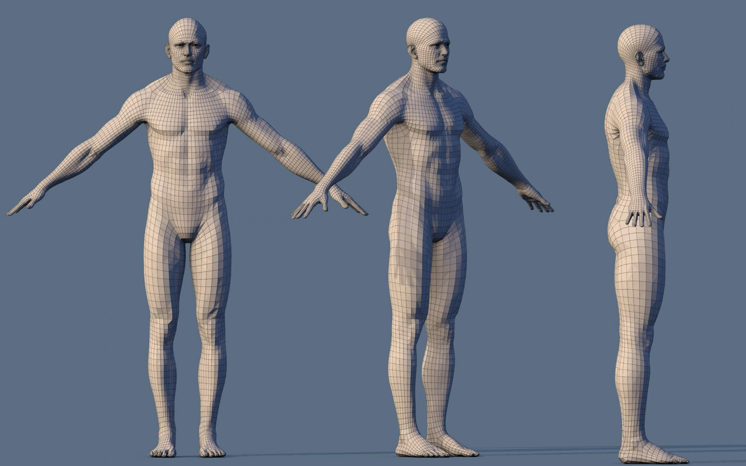 Male Character Base Mesh - 3D Model by Tollaru