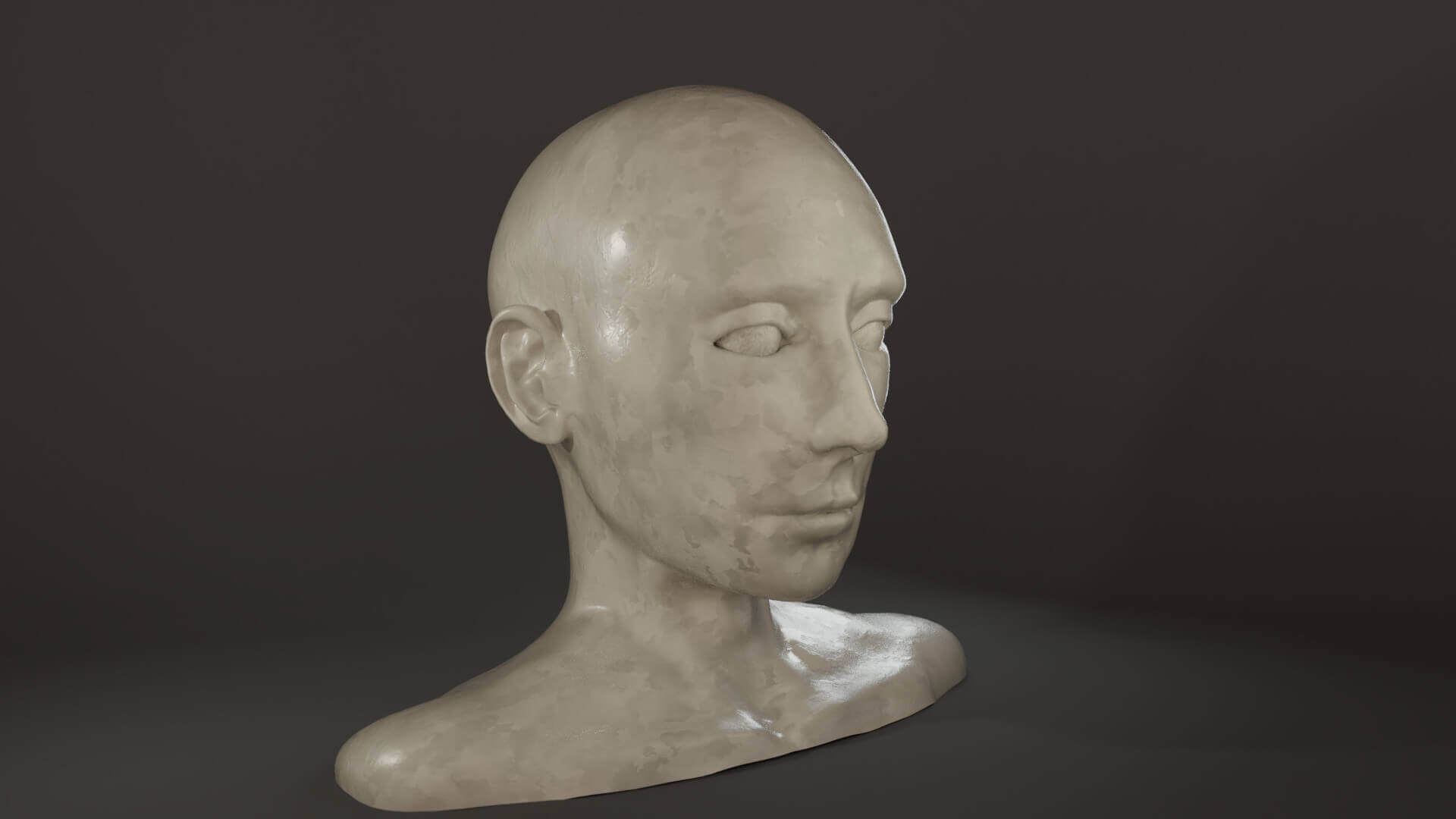 Head Bust - 3D Model by Tomations