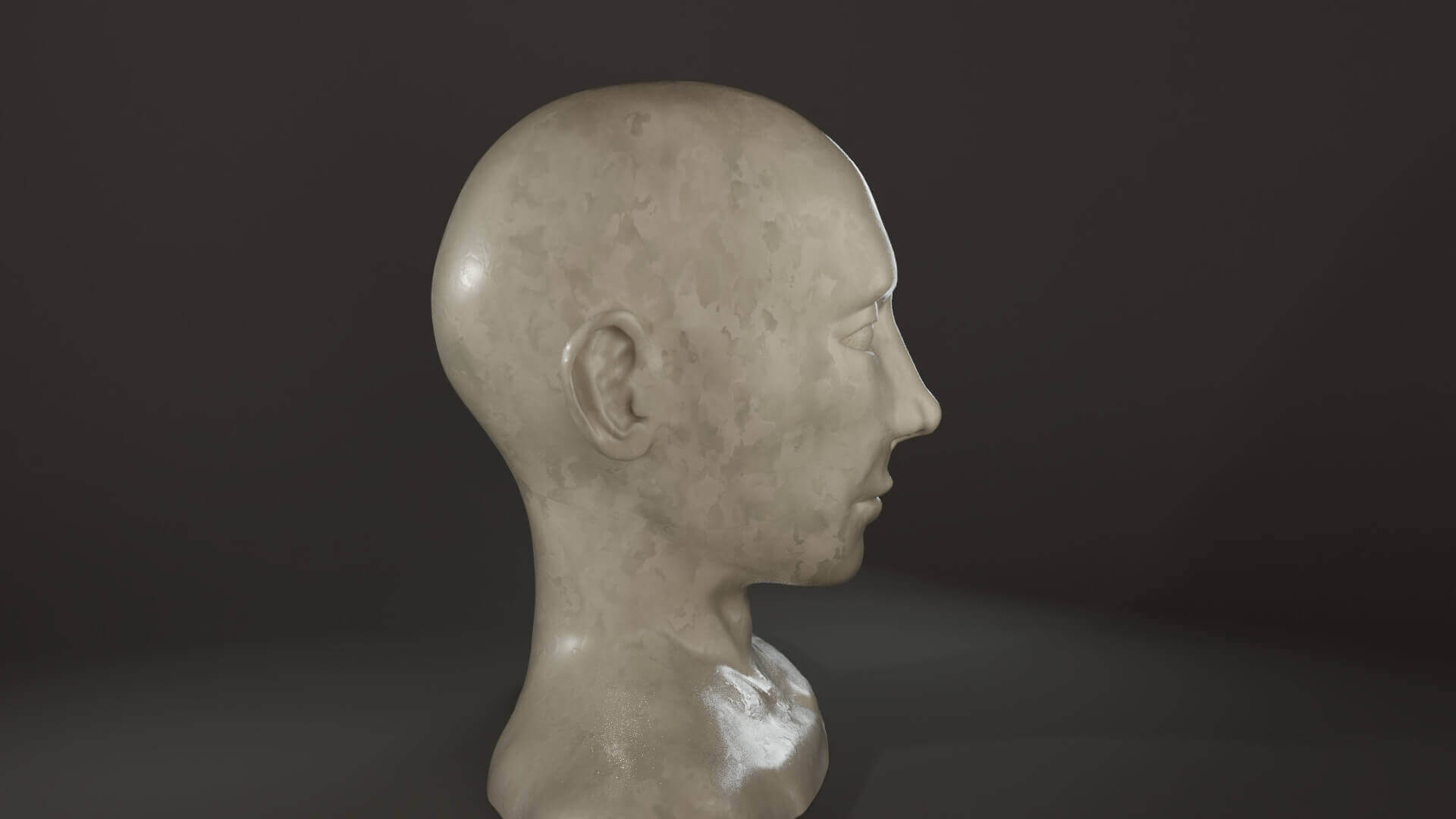 Head Bust - 3D Model by Tomations