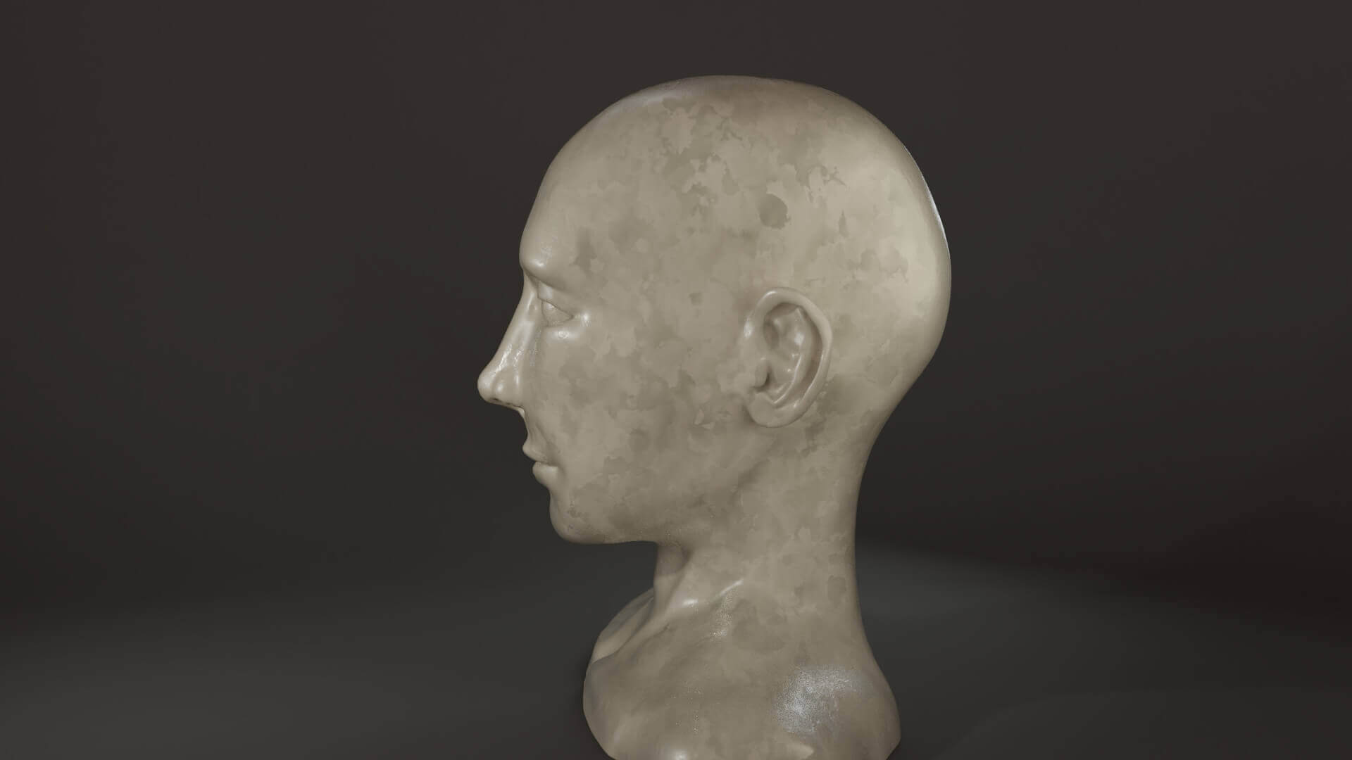 Head Bust - 3D Model by Tomations