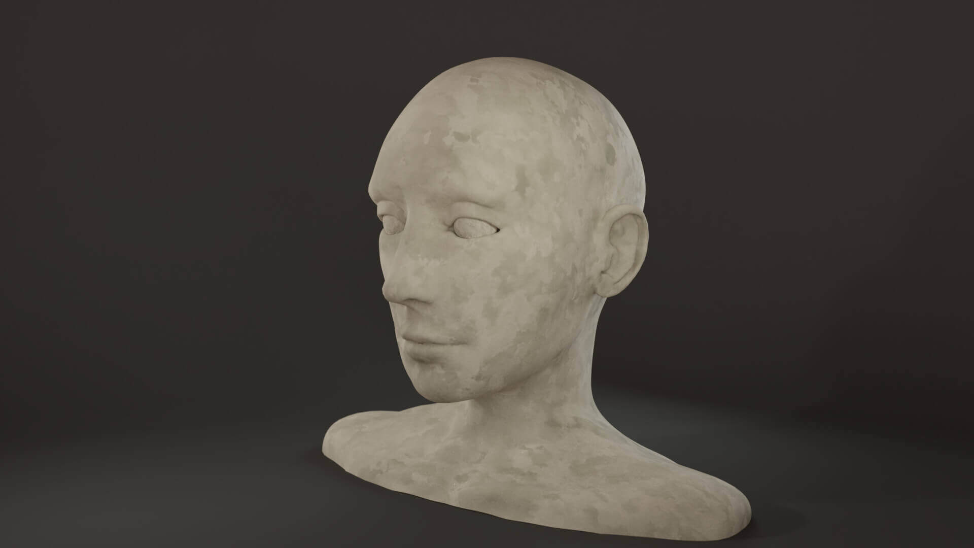 Head Bust - 3D Model by Tomations