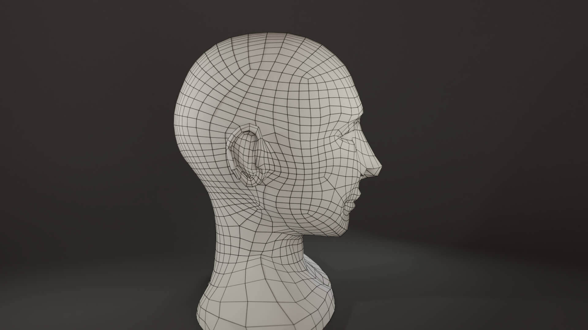 Head Bust - 3D Model by Tomations