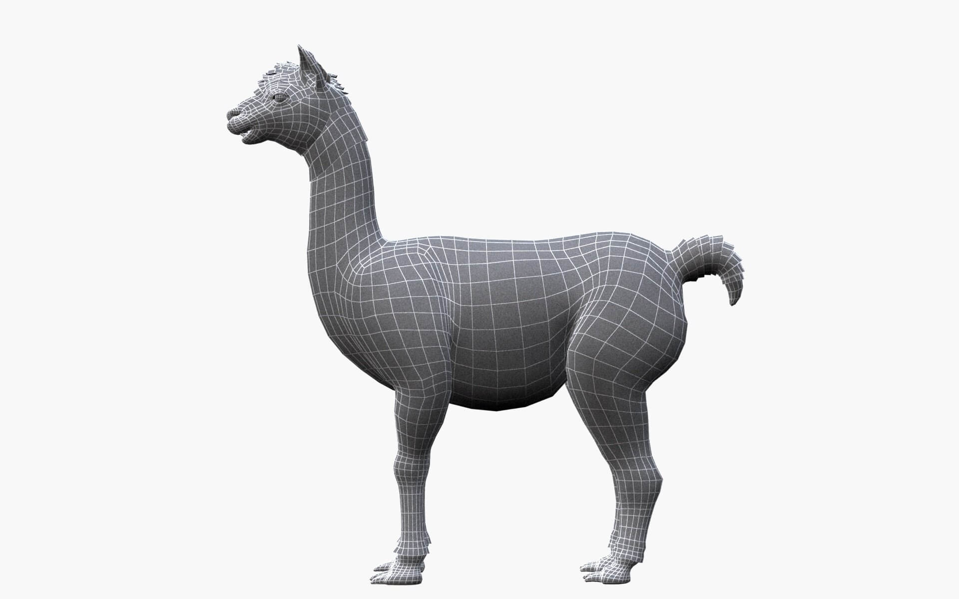 Alpaca - 3D Model by tomoplace