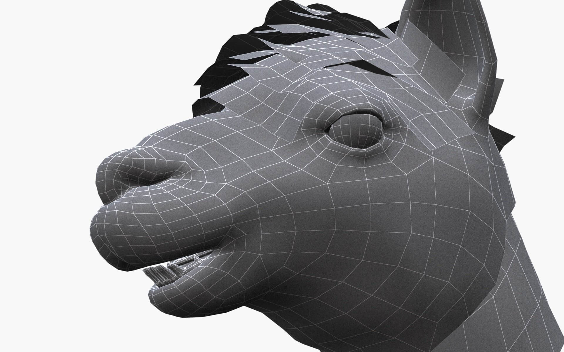 Alpaca - 3D Model by tomoplace