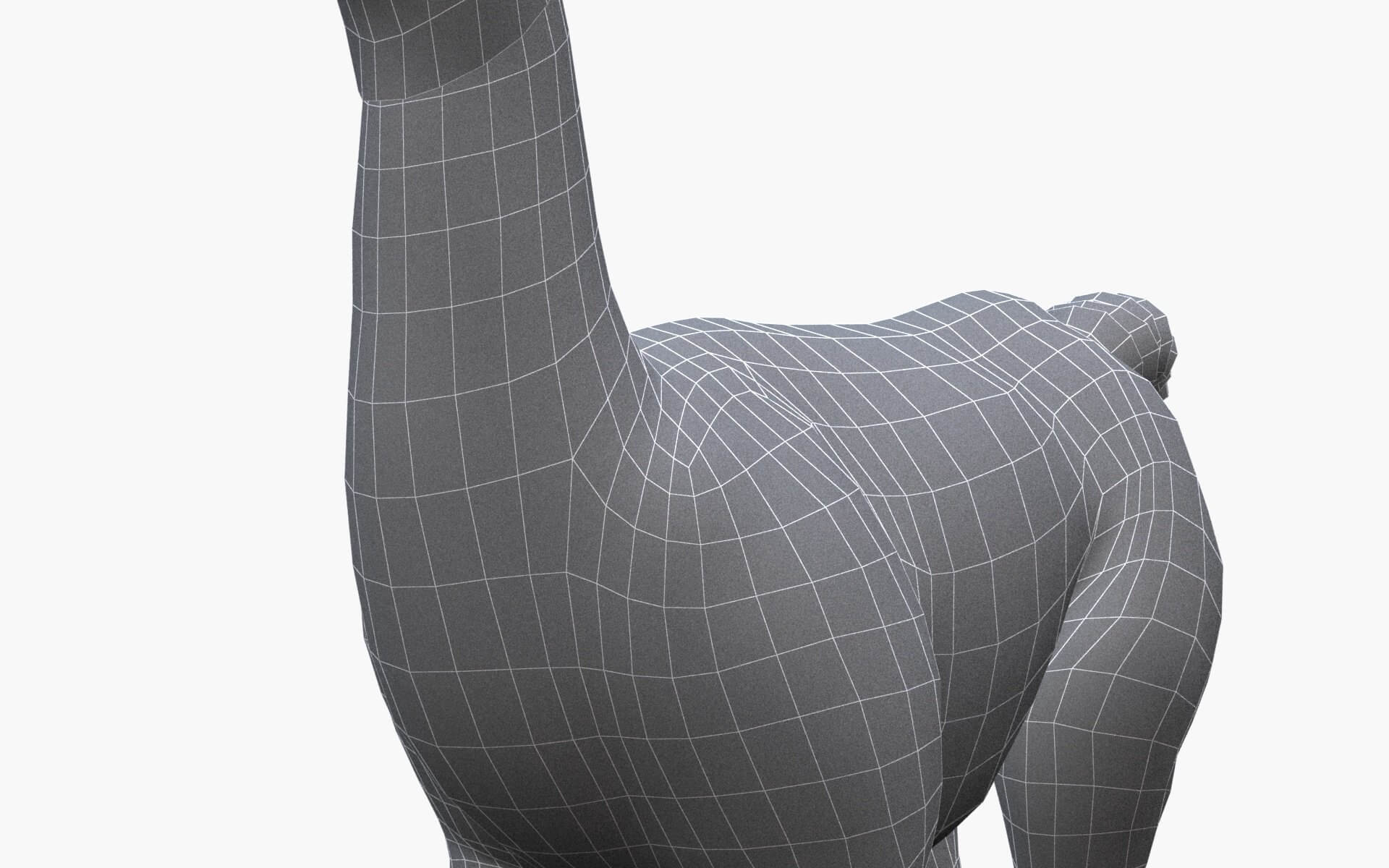 Alpaca - 3D Model by tomoplace