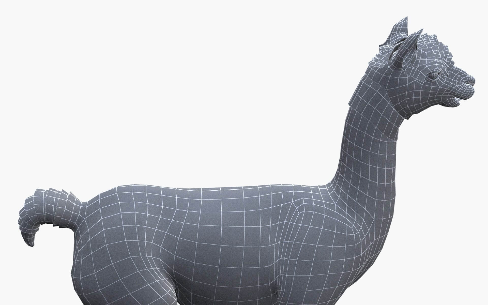 Alpaca - 3D Model by tomoplace