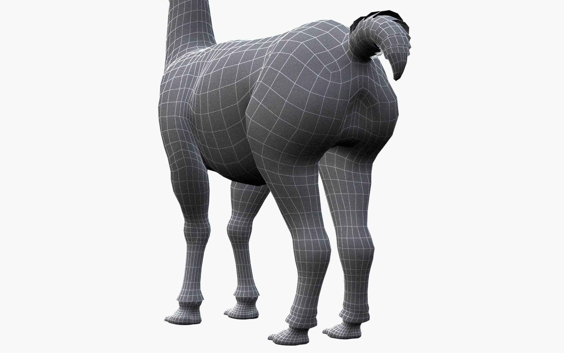 Alpaca - 3D Model by tomoplace