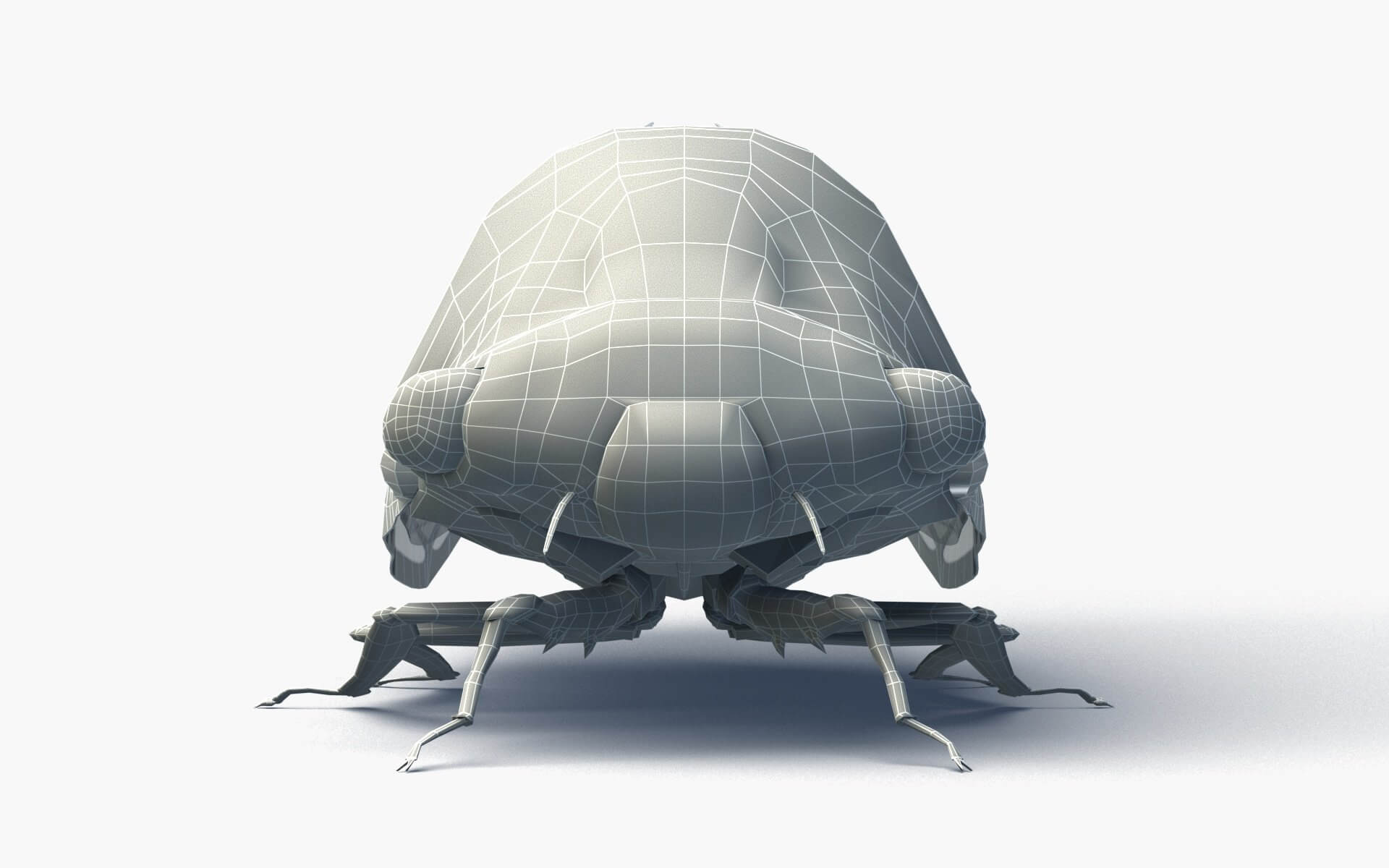 Cicada - 3D Model by tomoplace