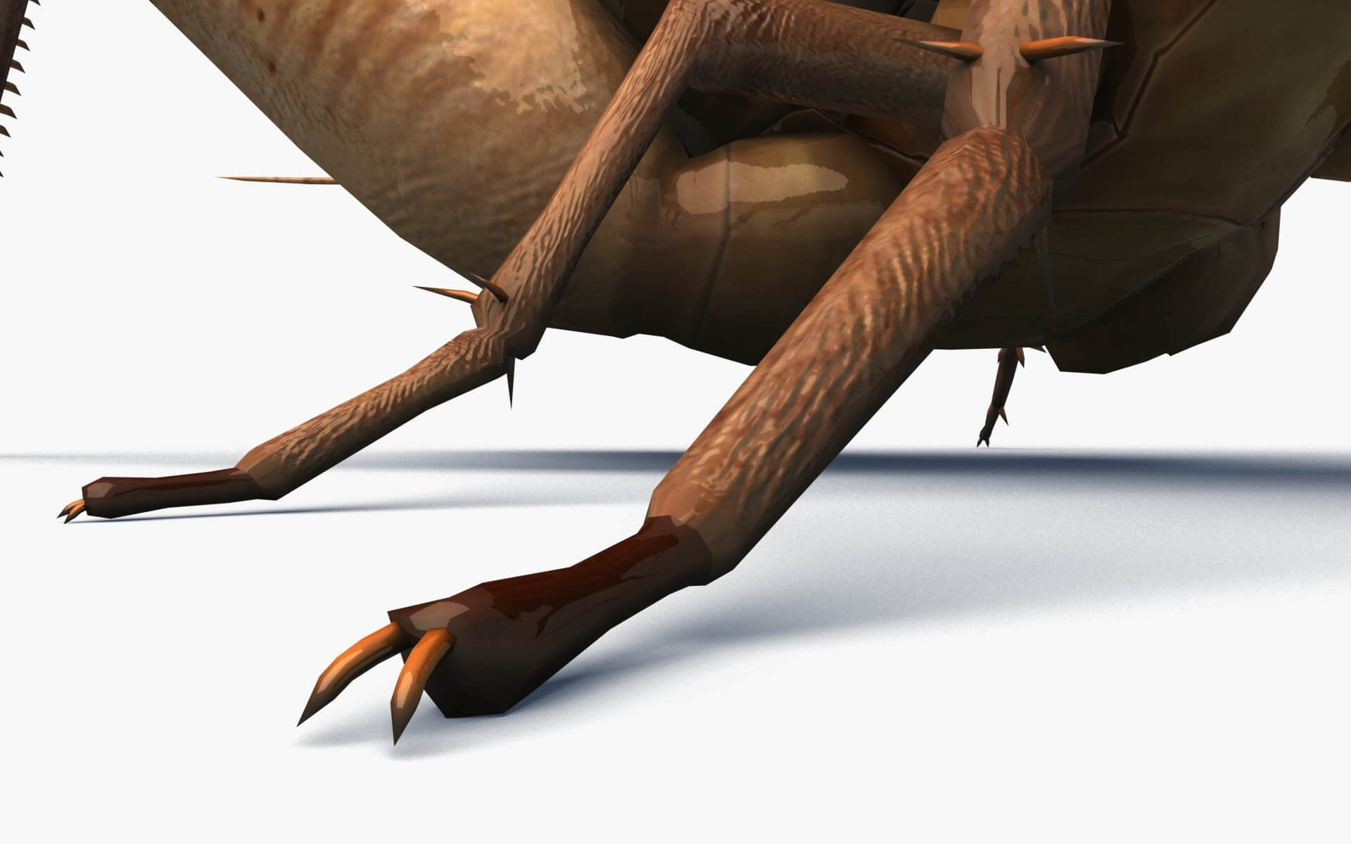 Cricket - 3D Model by tomoplace