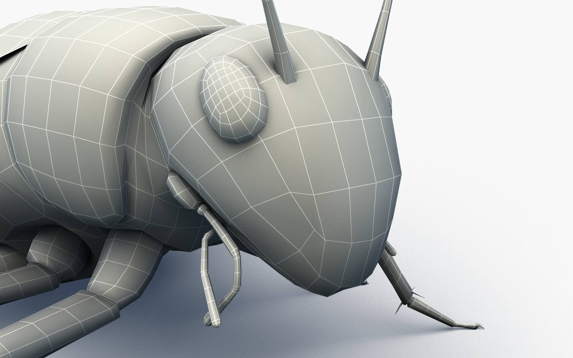 Cricket - 3D Model by tomoplace