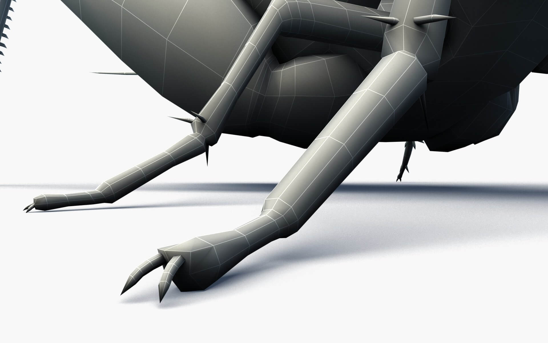 Cricket - 3D Model by tomoplace