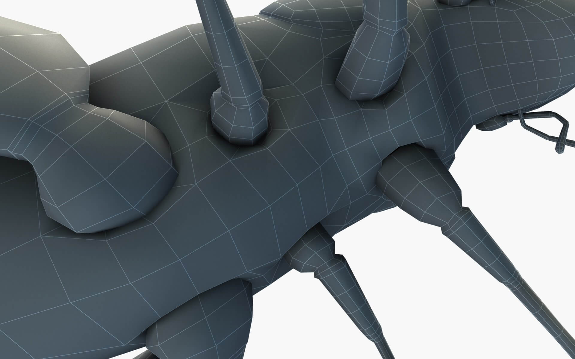 Cricket - 3D Model by tomoplace