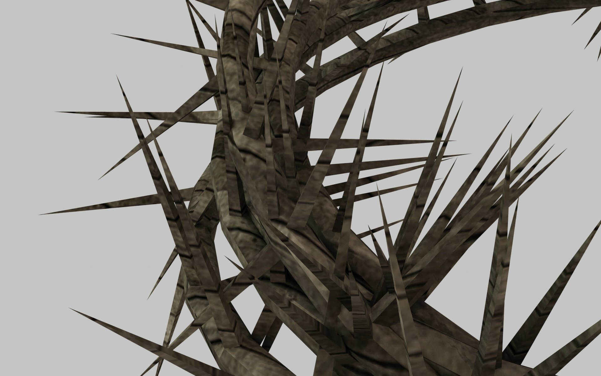 Crown of Thorns - 3D Model by tomoplace