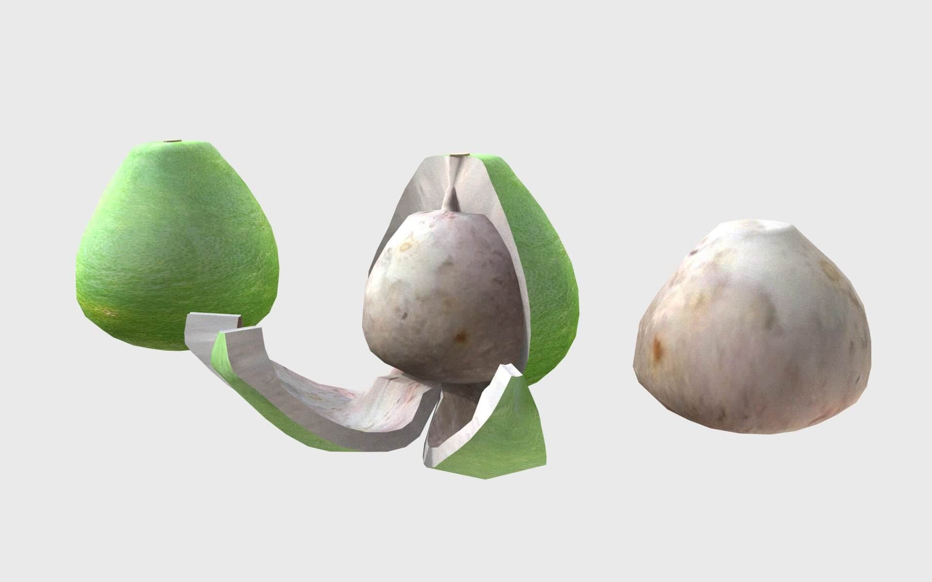 Pomelo Fruit 0002 - 3D Model by tomoplace