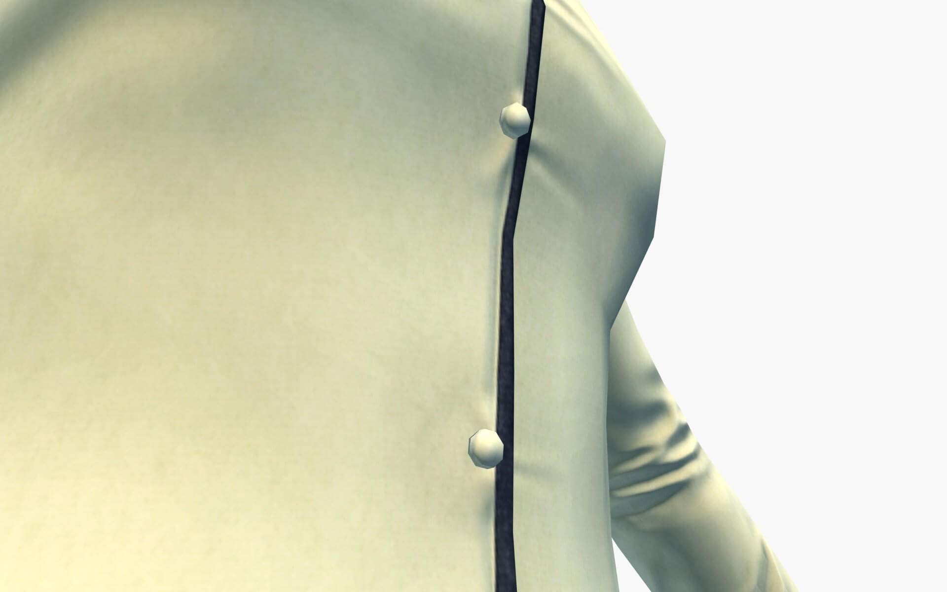 Japanese Tour Guide - 3D Model by tomoplace