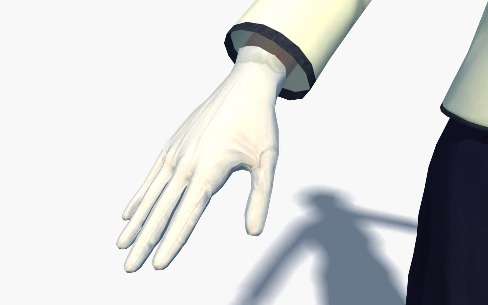 Japanese Tour Guide - 3D Model by tomoplace