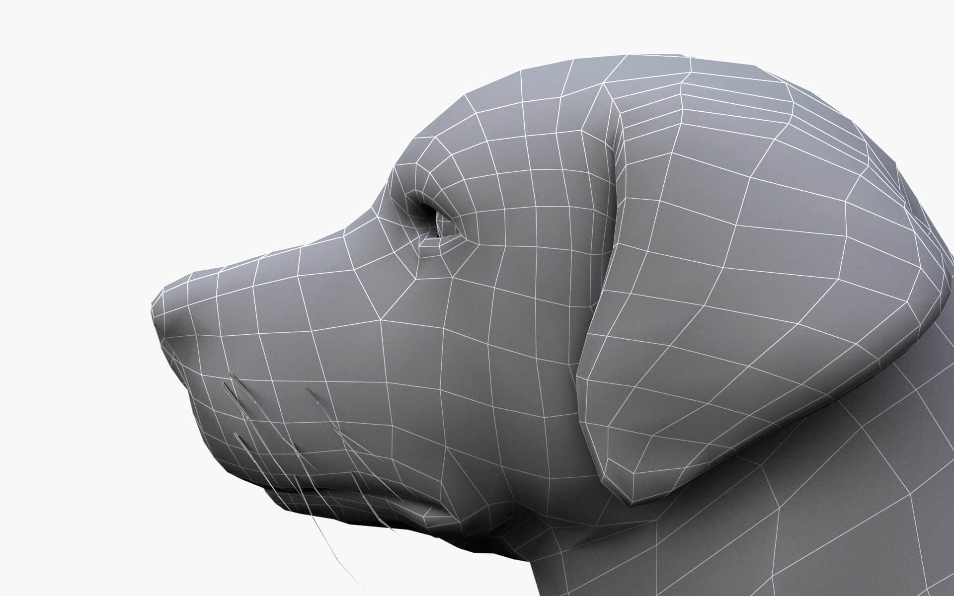 Labrador Retriever Dog - 3D Model by tomoplace