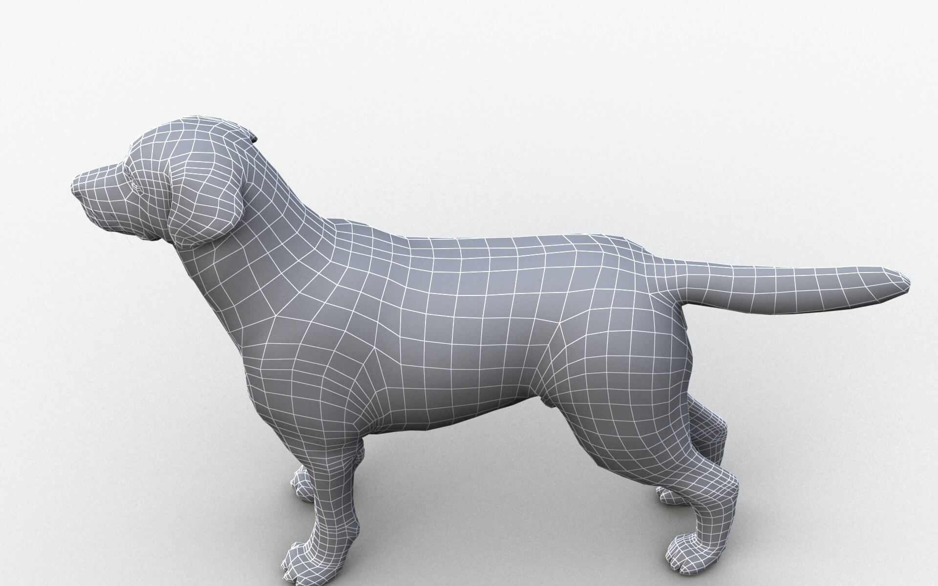Labrador Retriever Dog - 3D Model by tomoplace