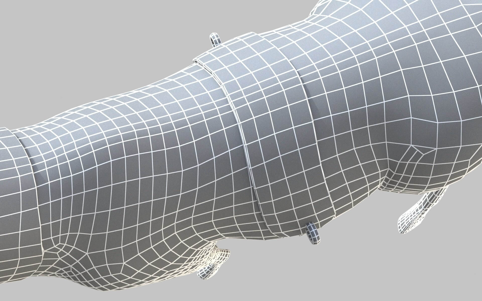 Reindeer Rigged - 3D Model by tomoplace