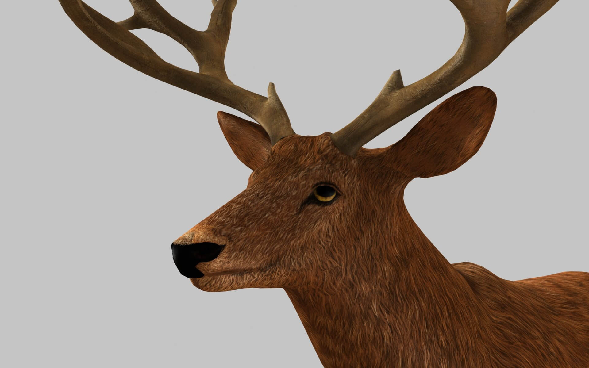 Reindeer Rigged - 3D Model by tomoplace