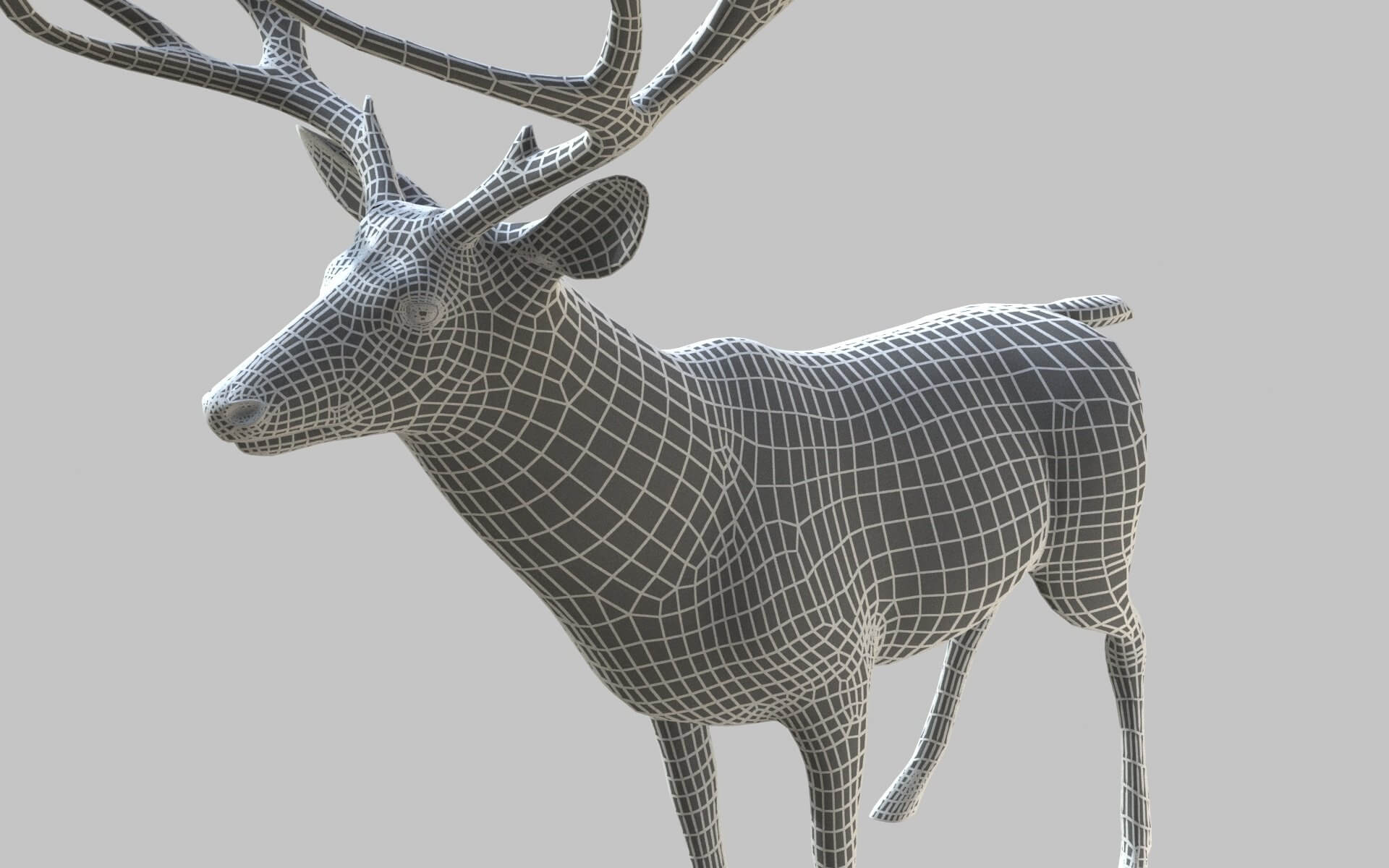 Reindeer Rigged - 3D Model by tomoplace