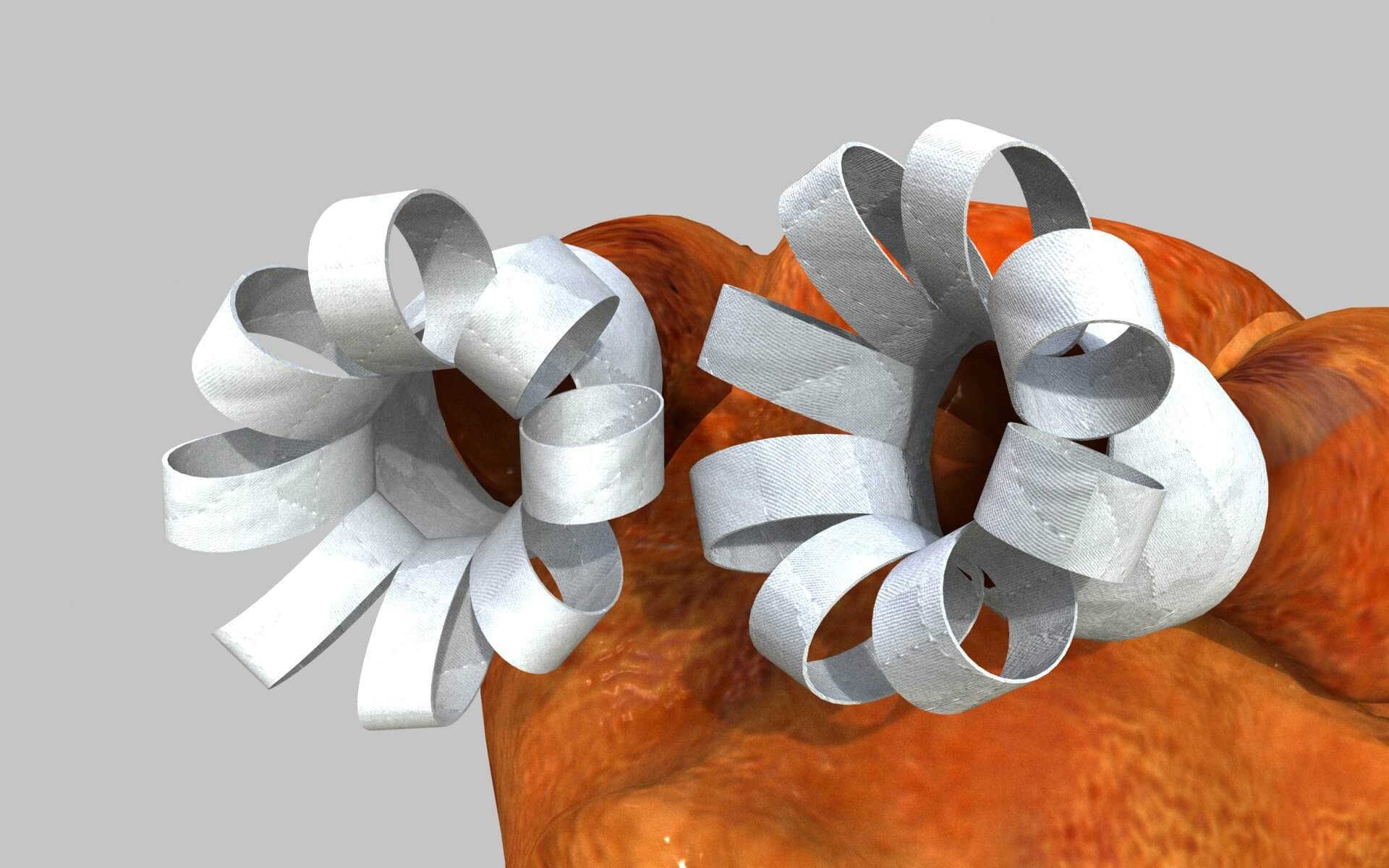 Roasted Turkey - 3D Model by tomoplace