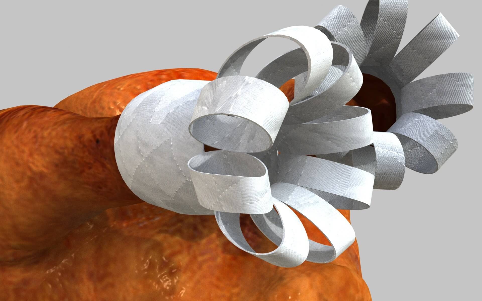 Roasted Turkey - 3D Model by tomoplace